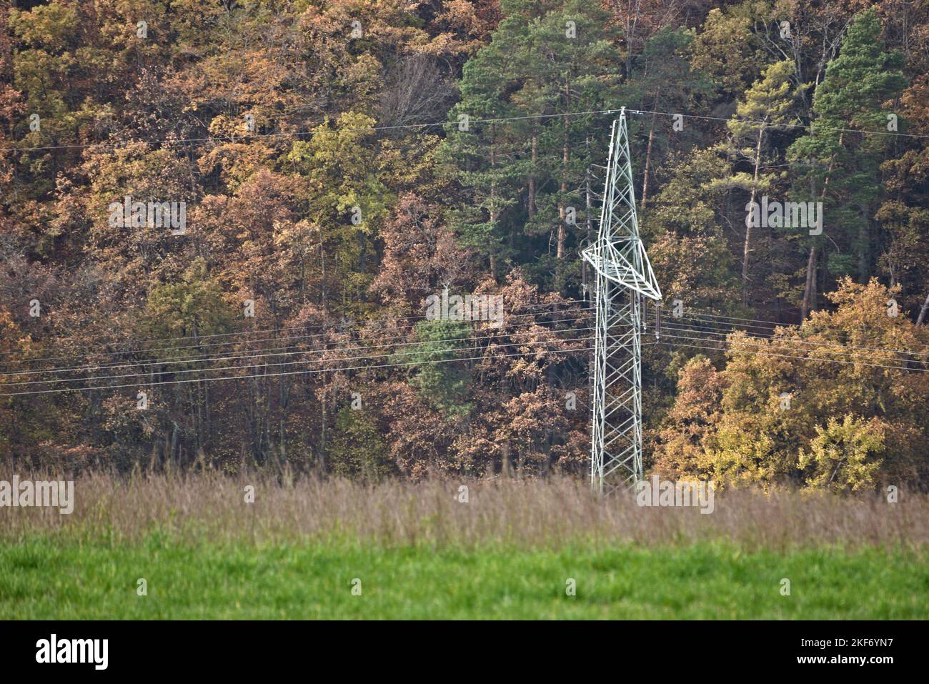 An electricity tower in a rural field with fall trees in the background ...