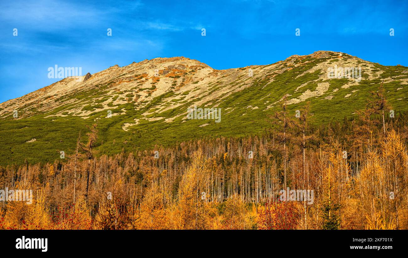 The Slavkovsky Peak, Tatra National Park, Slovakia Stock Photo - Alamy
