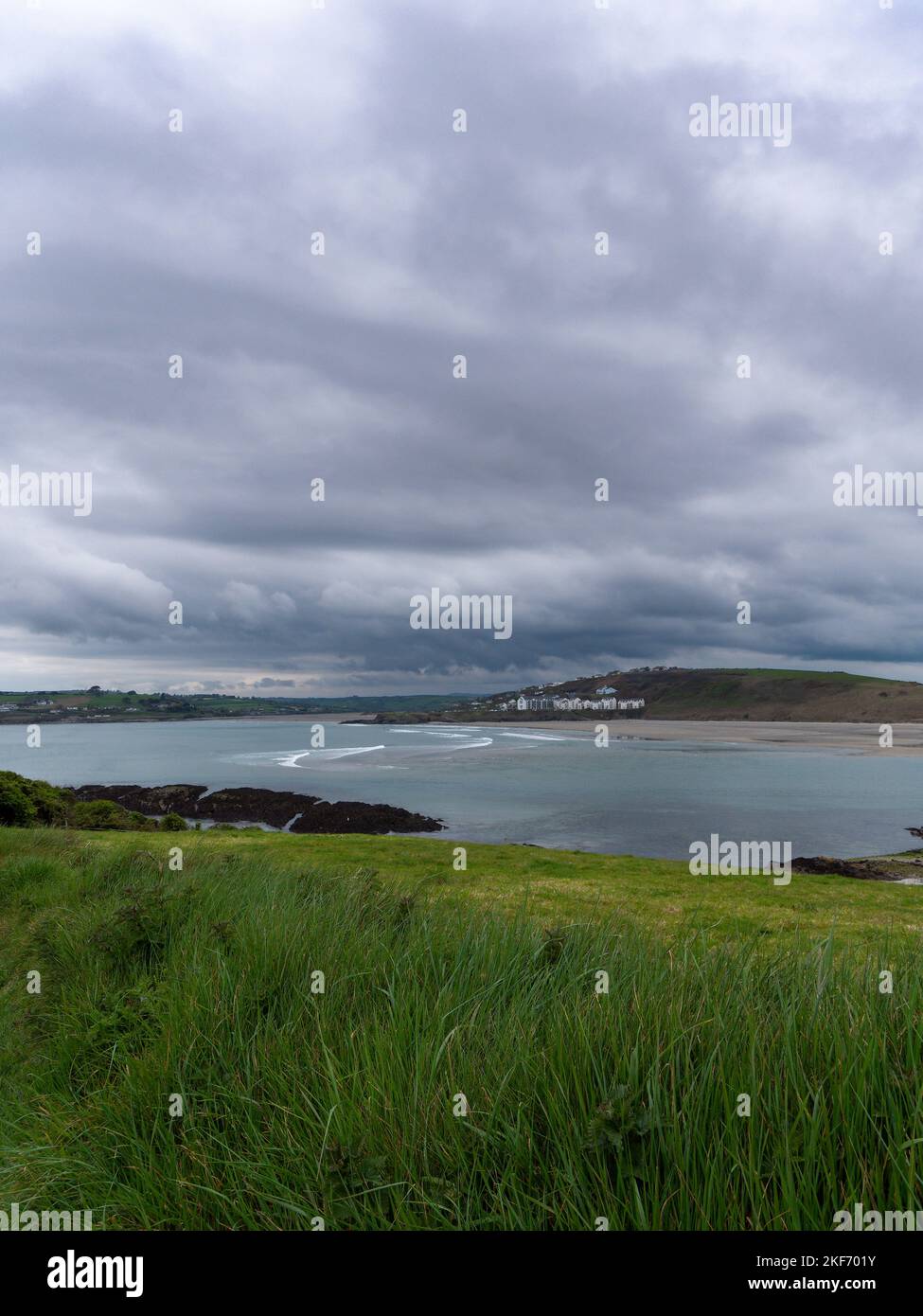 View of Clonakilty Bay. Thick grass. The coastline of the Ireland ...