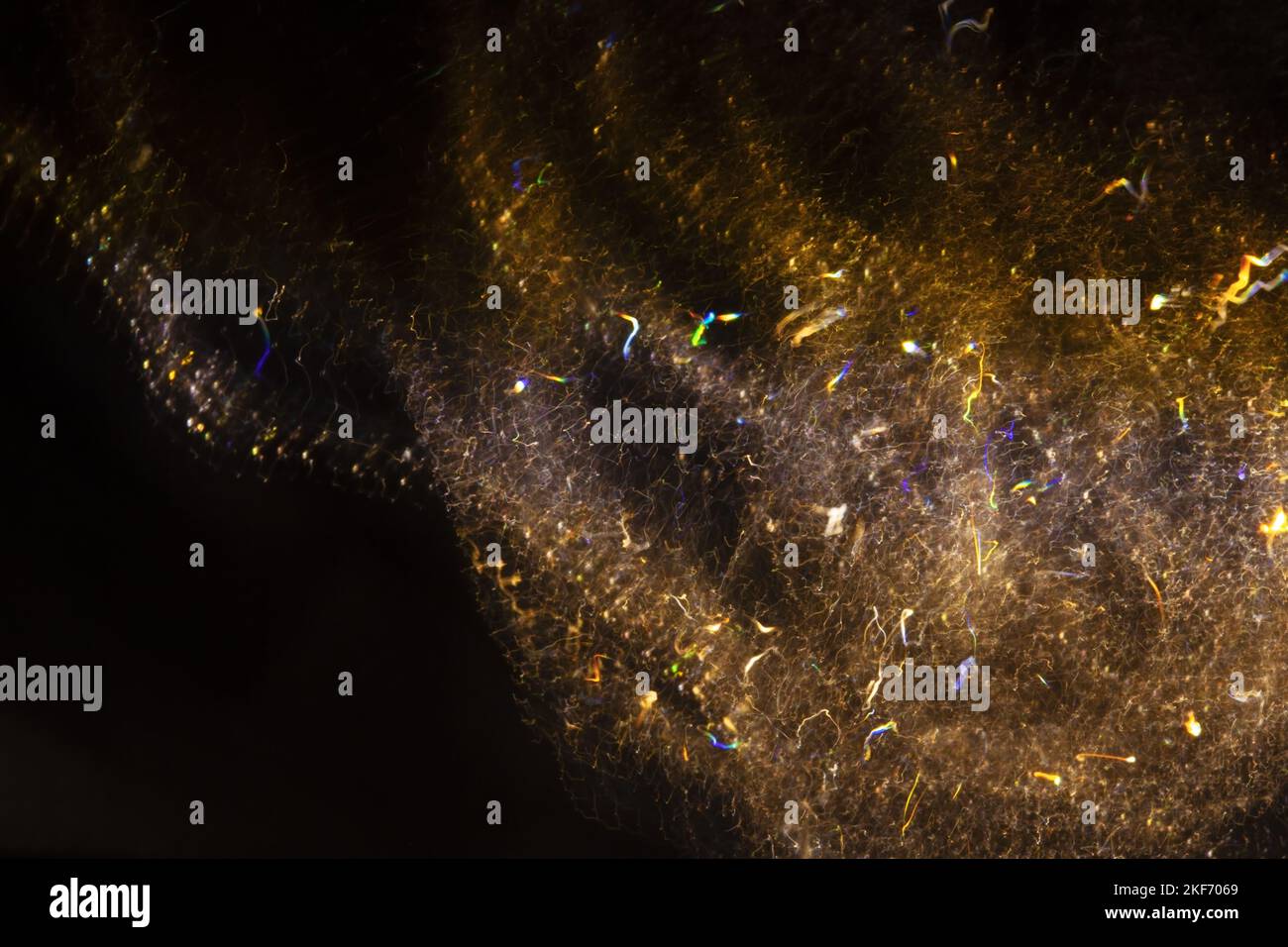 Light bokeh. Bokeh, flickering blurry yellow lights on a dark ...