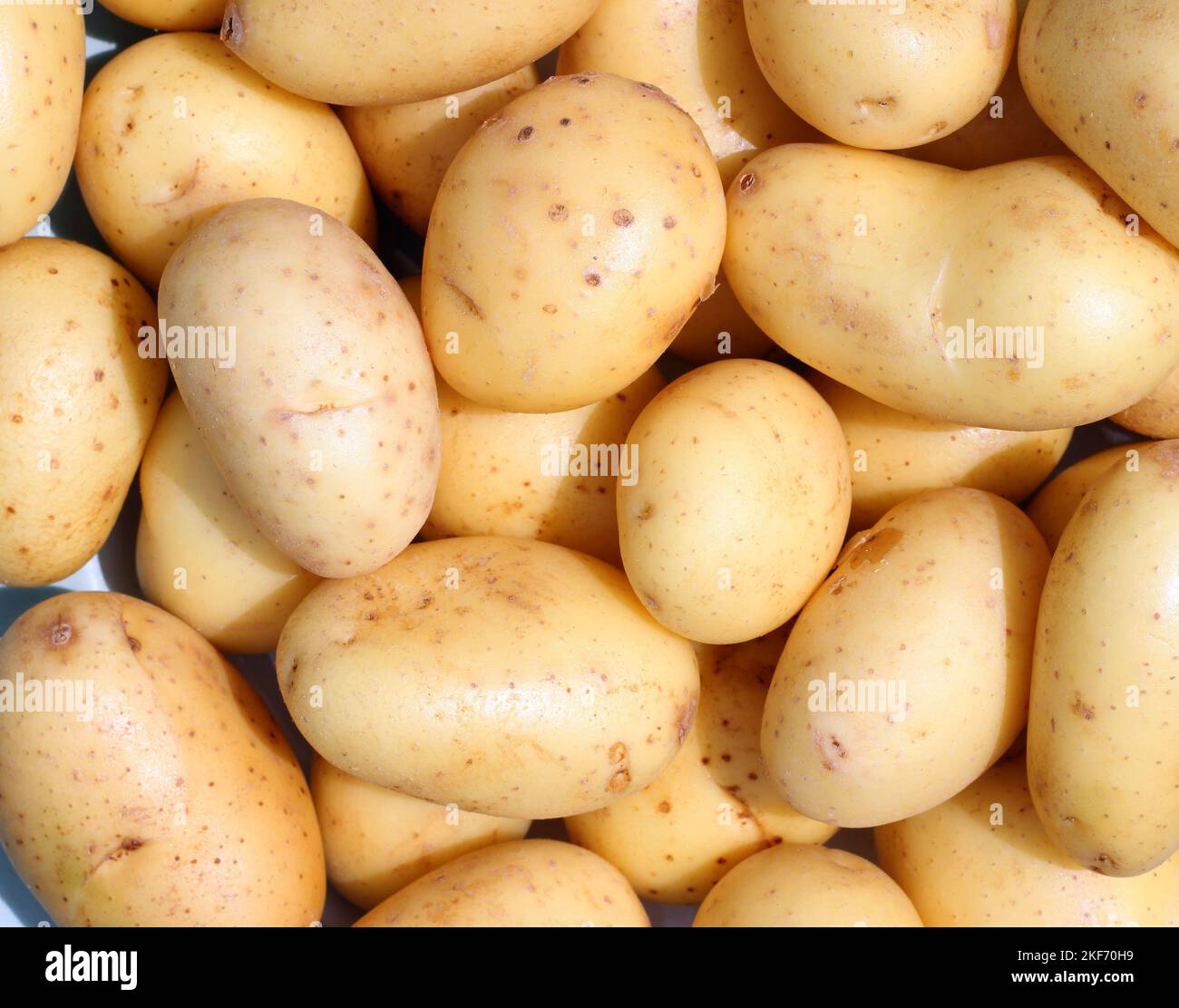 New white potatoes hi-res stock photography and images - Alamy