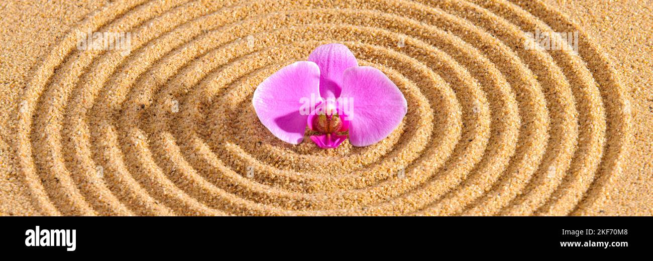 textured sand and stone in Japanese zen garden Stock Photo - Alamy