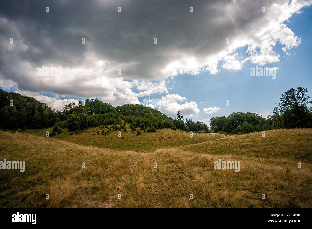 Photo of a mountainous field bordered by the forest Stock Photo - Alamy