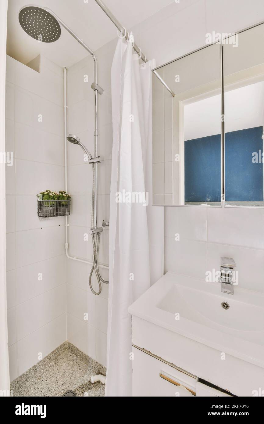 Sinks with mirrors and shower box with glass door in modern bathroom ...