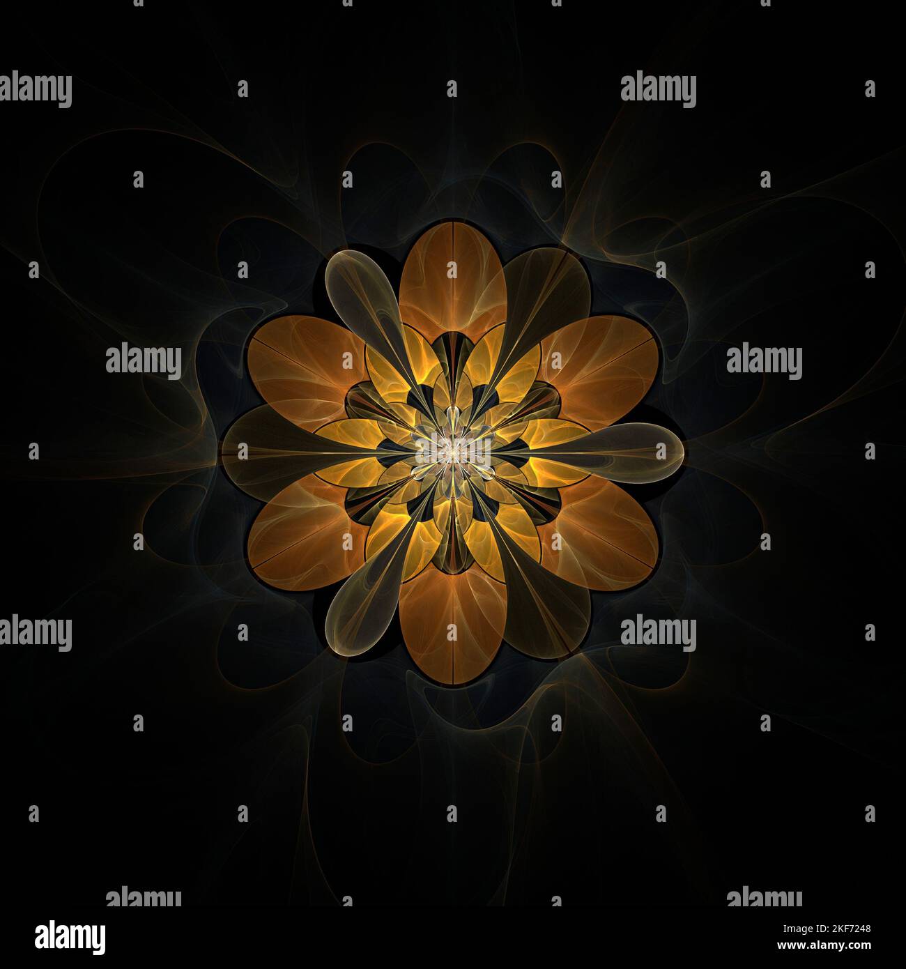 Fractal flower hi-res stock photography and images - Alamy