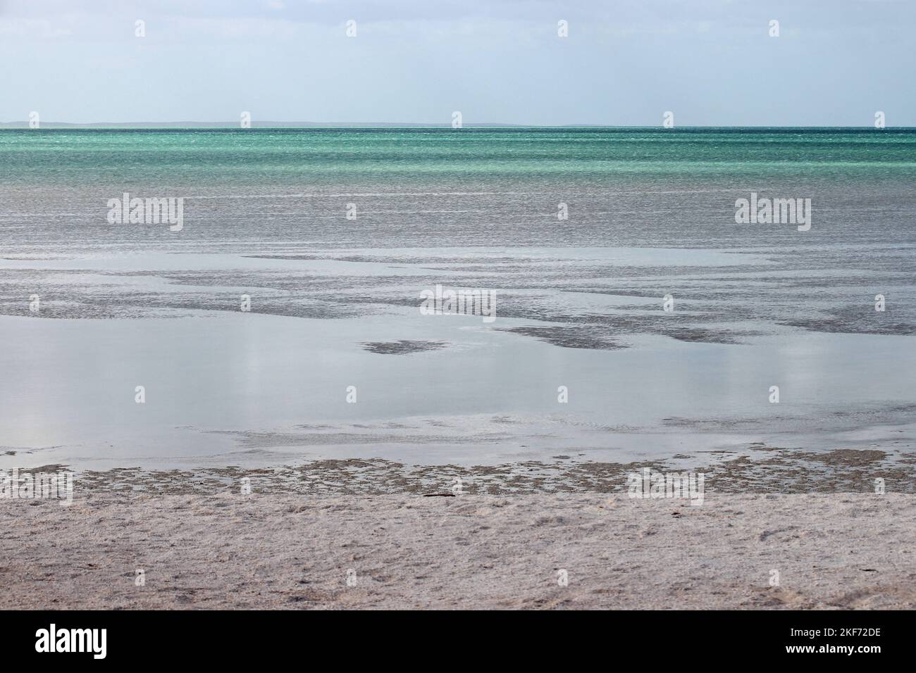 indian ocean at shell beach at shark bay in australia Stock Photo - Alamy