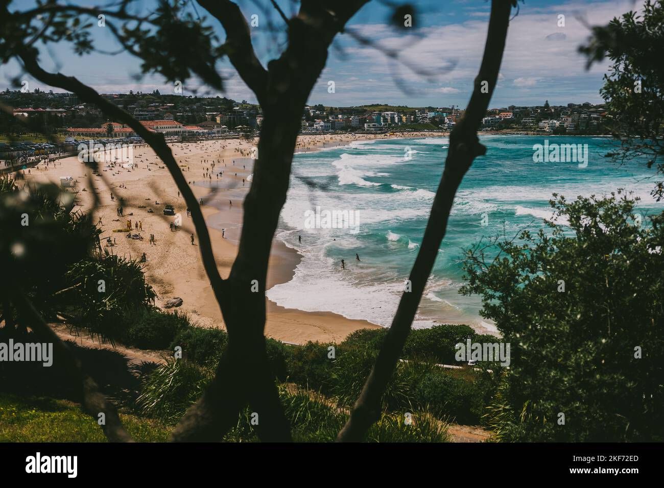 Beautiful View Of The Bondi Beach In Australia Shot Through Tree ...