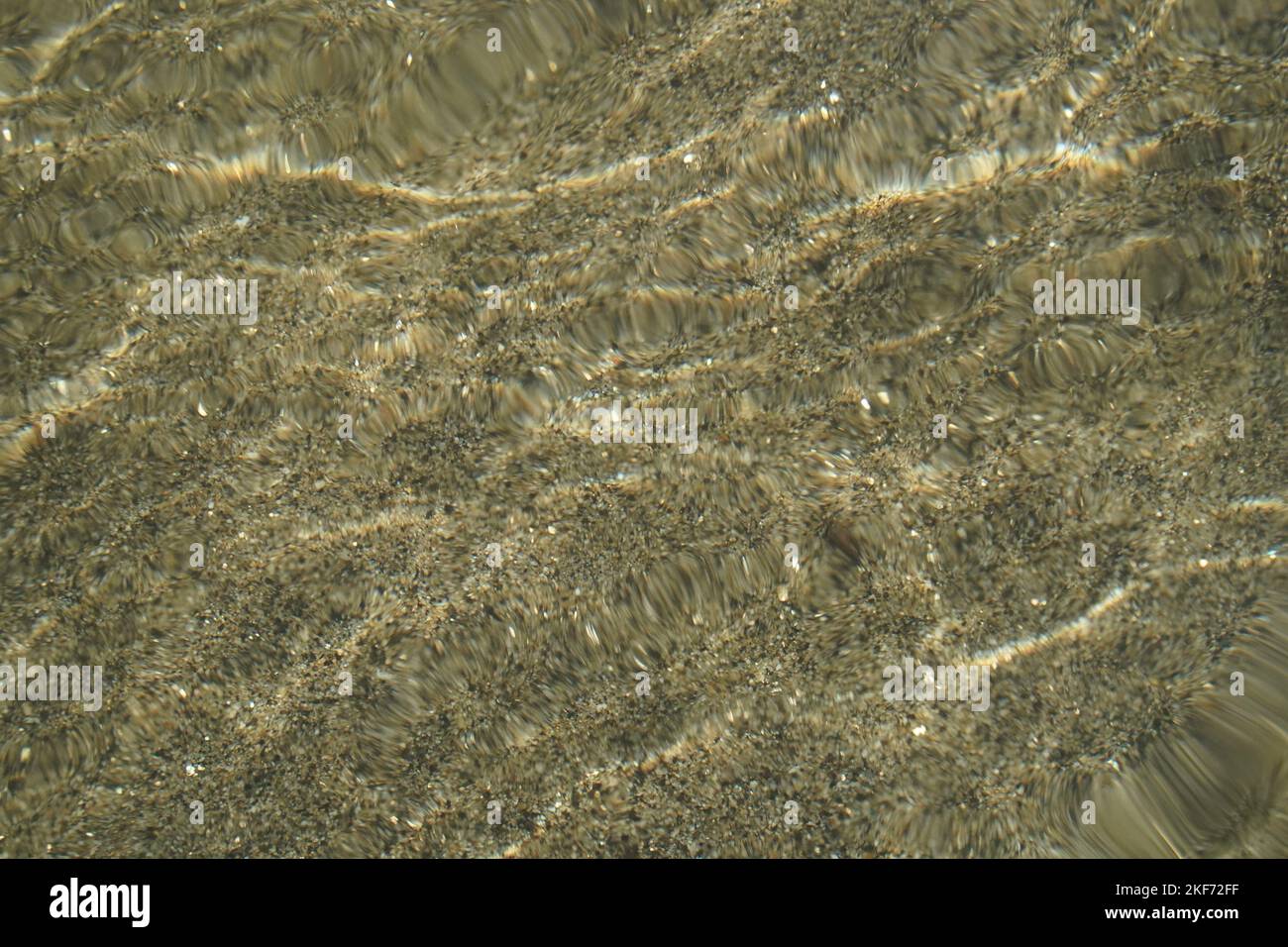 gold flakes in a river underwater Stock Photo - Alamy