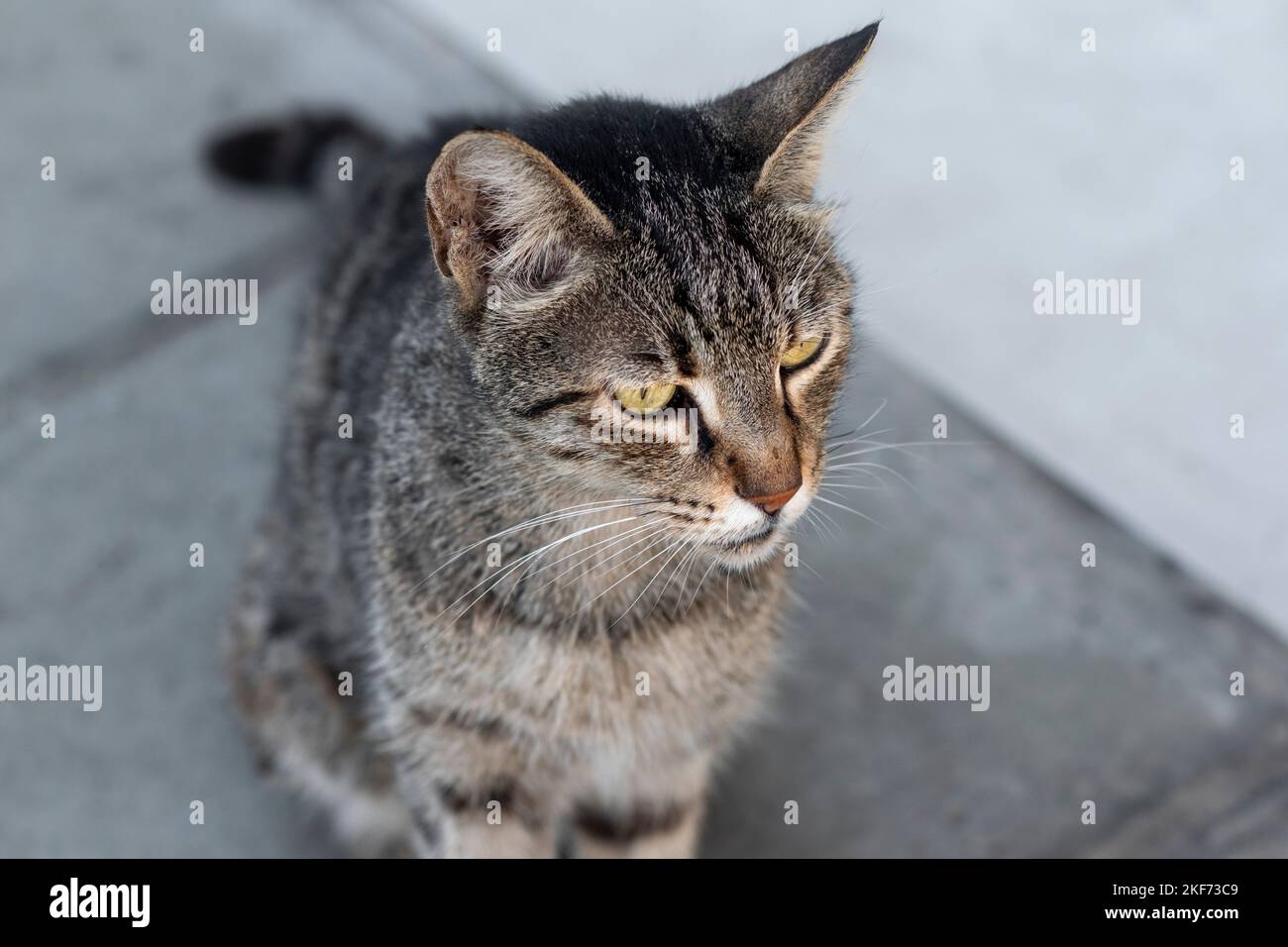 Cyprus beautiful not tuscany hi-res stock photography and images - Alamy