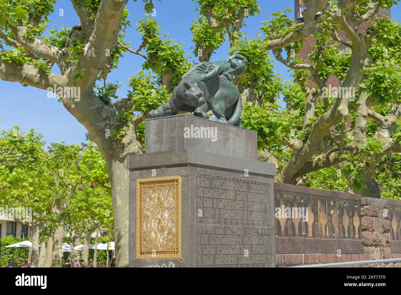 Silberlowe hi-res stock photography and images - Alamy