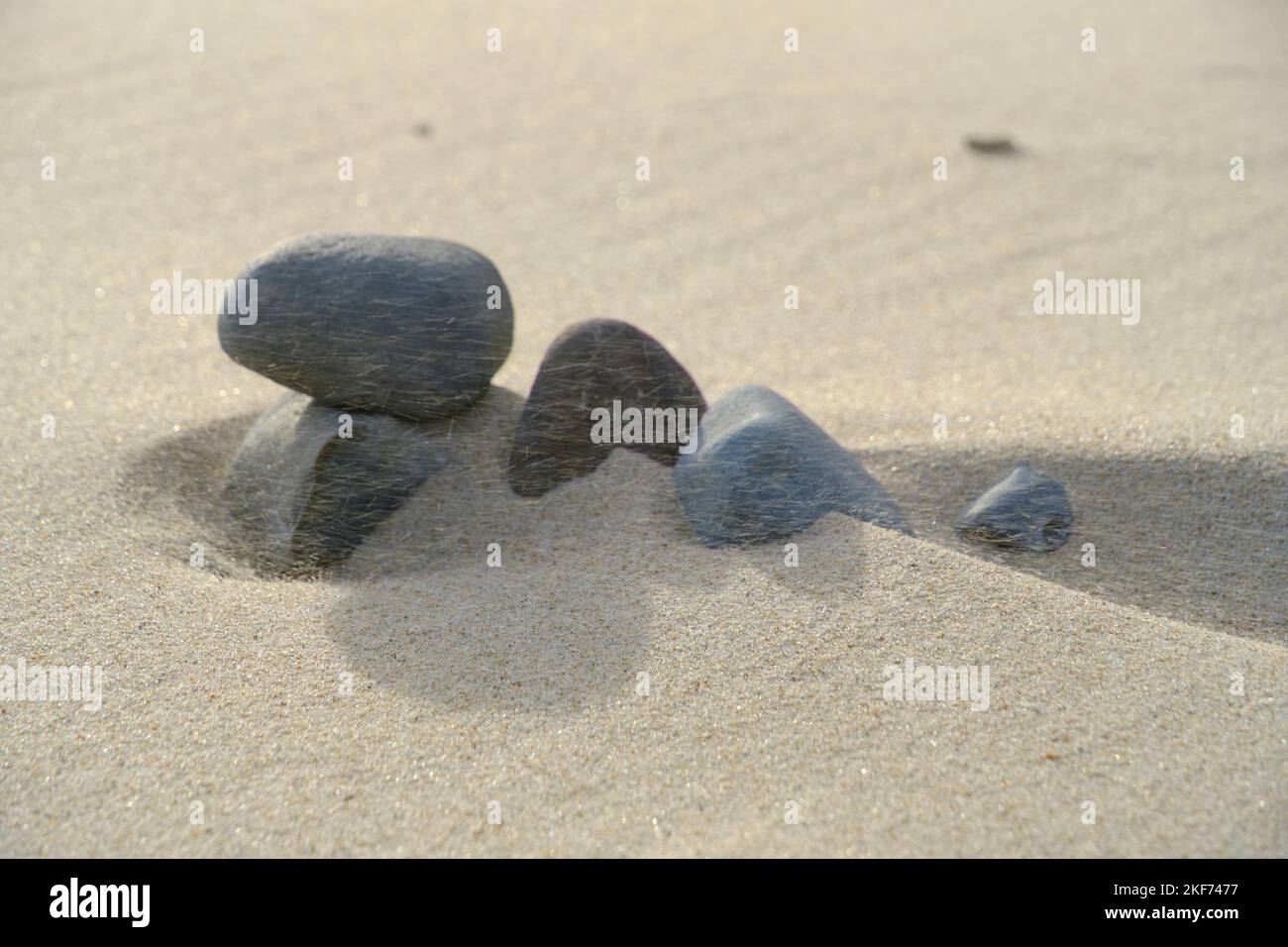 Stones are covered with quartz sand on beach during strong wind Stock ...