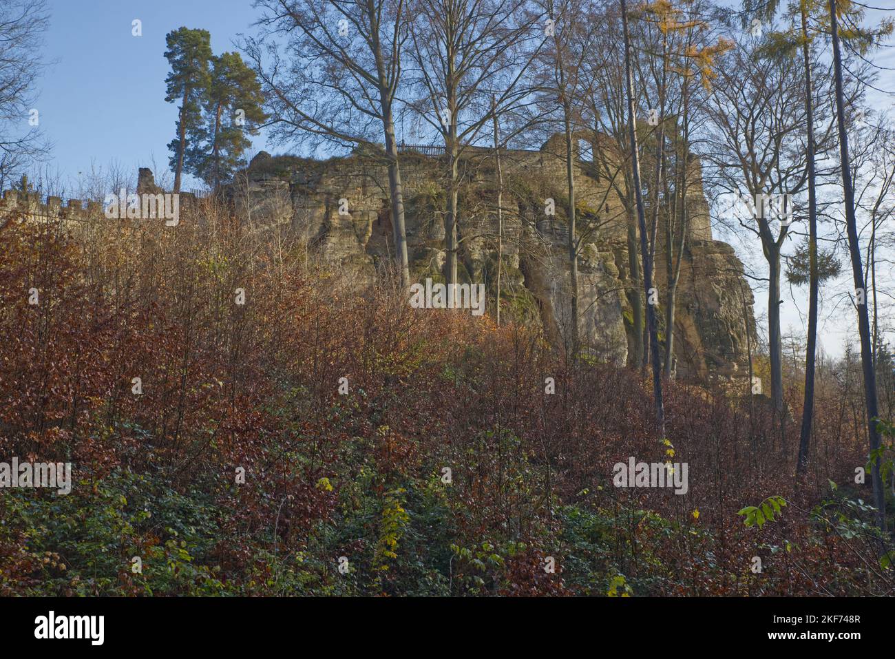 European medieval castle situated in forest in the autumn day, blue sky ...