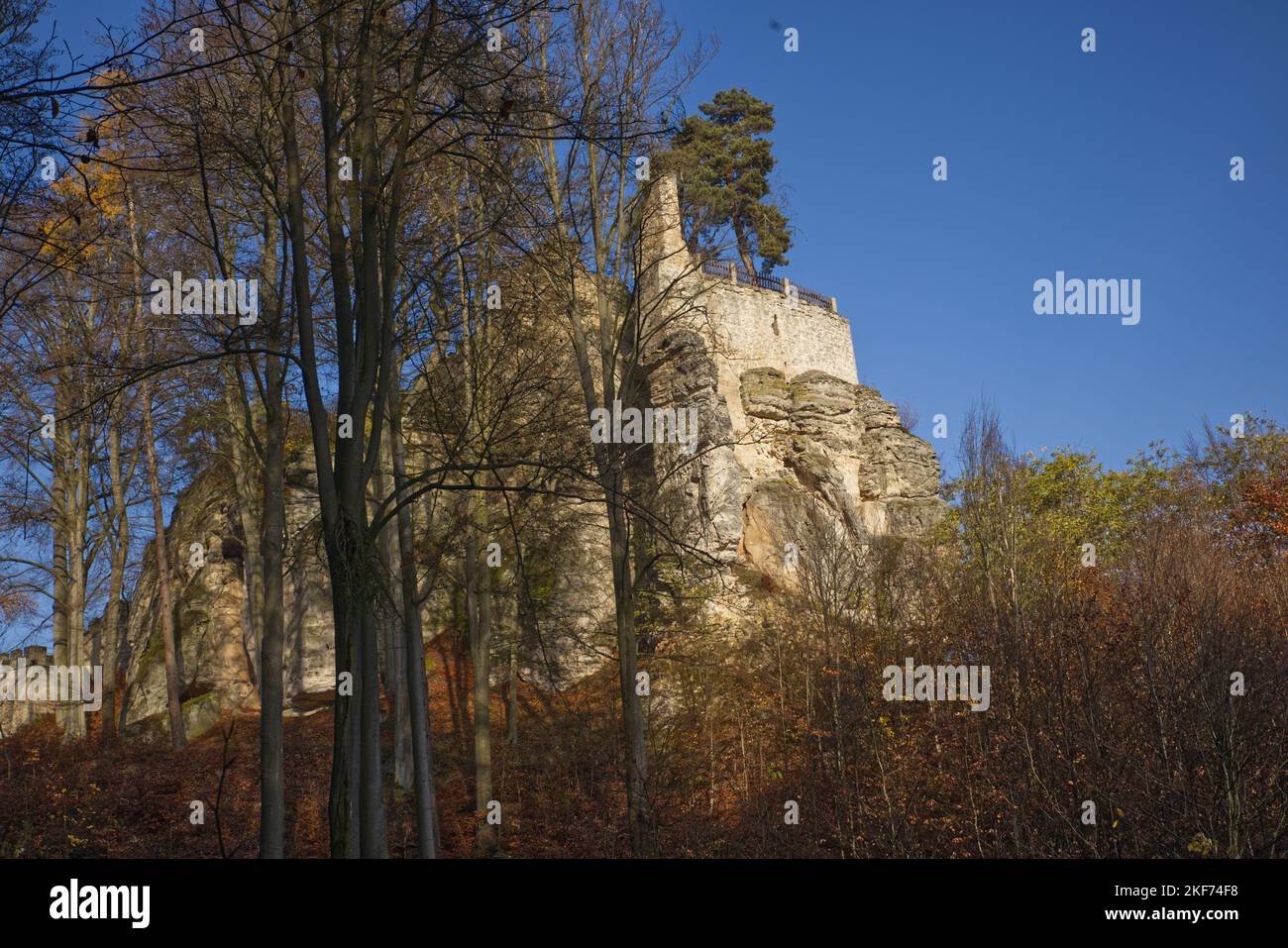 European medieval castle situated in forest in the autumn day, blue sky ...