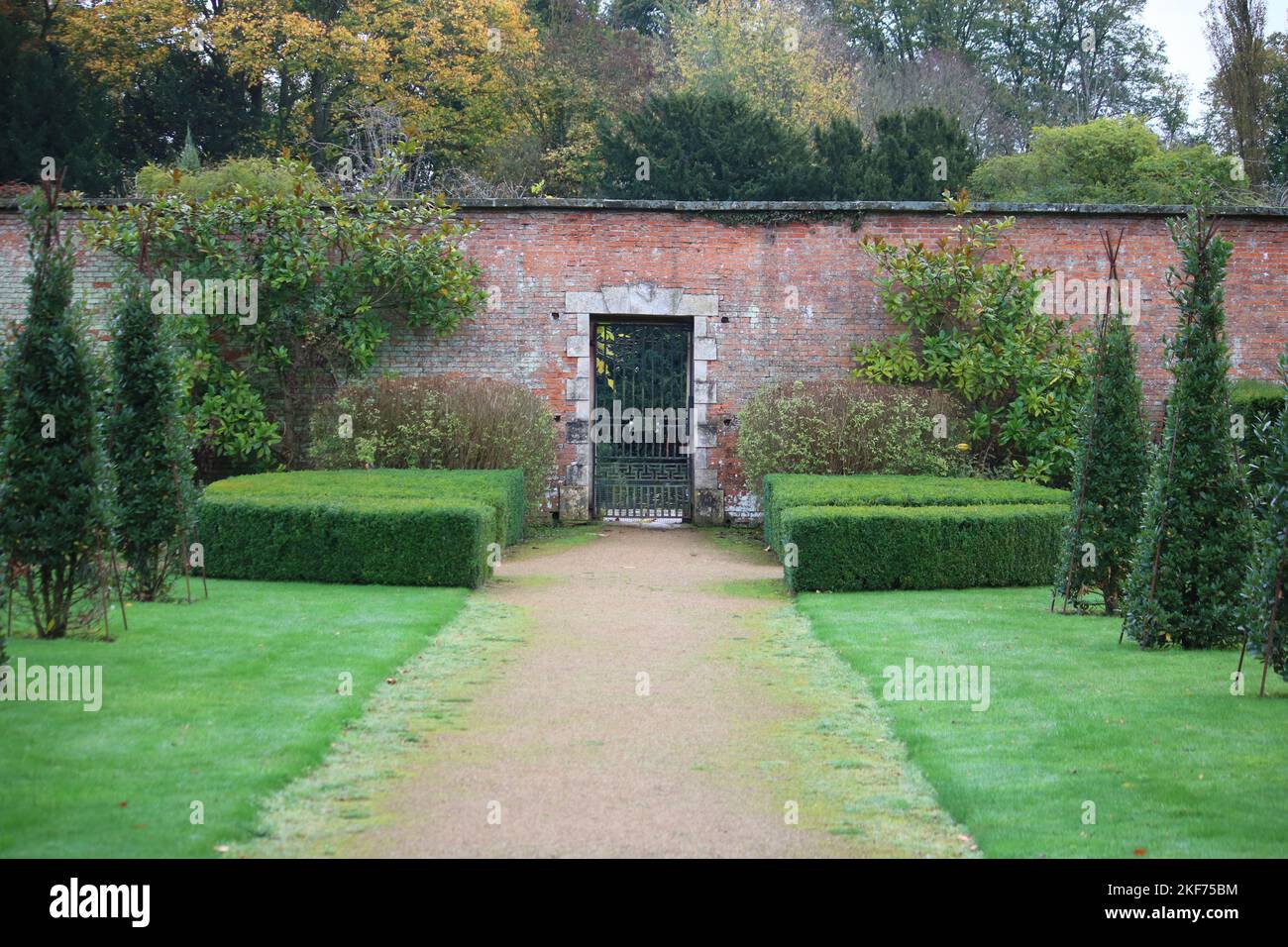 An walled garden with short green lawn and square bushes Stock Photo ...