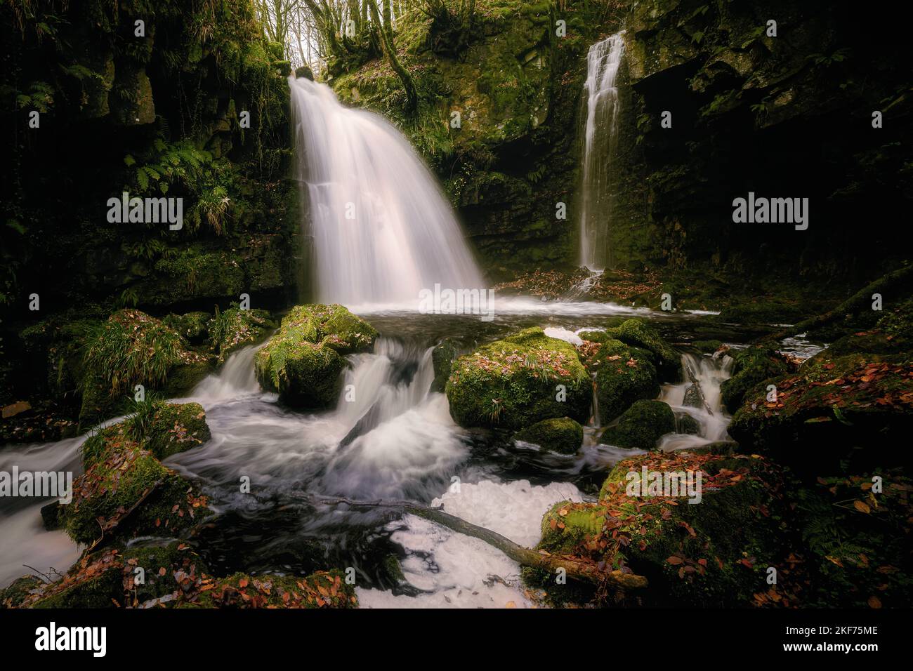 A beautiful view of a waterfall in the forest Stock Photo - Alamy