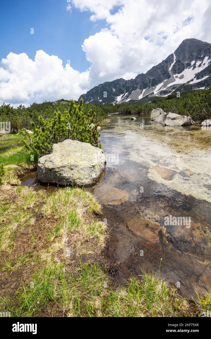Amazing Summer view of Pirin Mountain near Popovo Lake, Bulgaria Stock ...