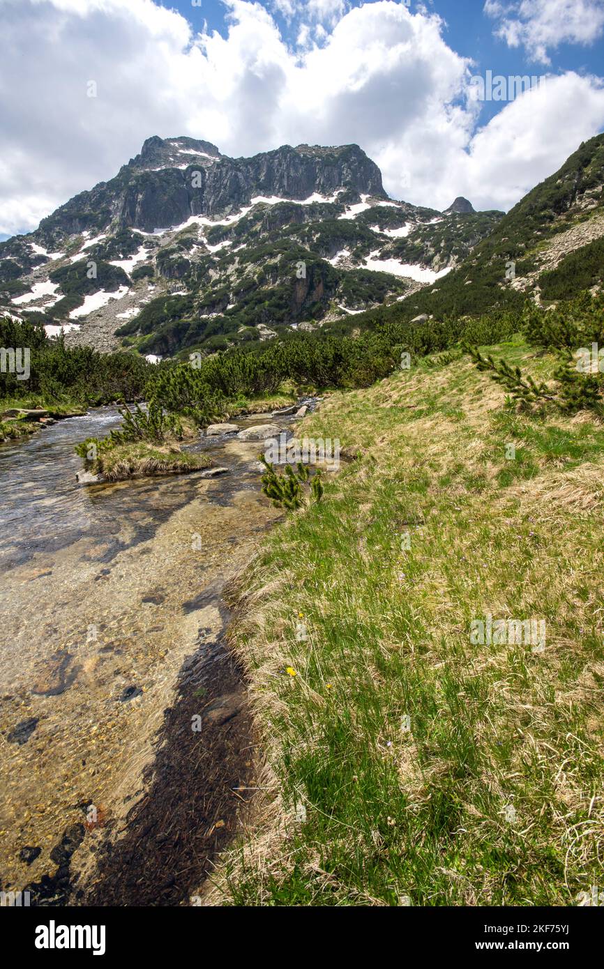Amazing Summer view of Pirin Mountain near Popovo Lake, Bulgaria Stock ...