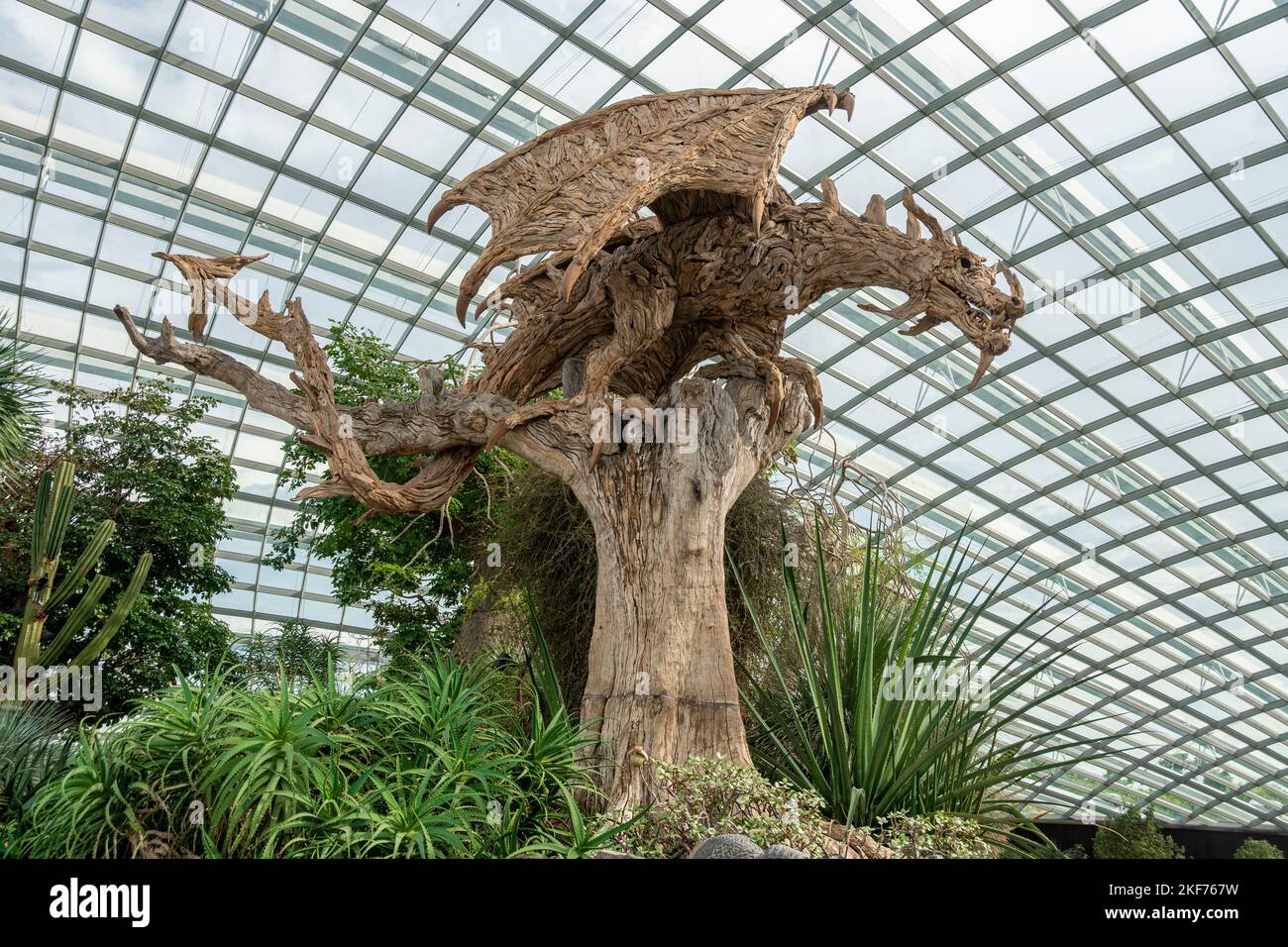 Night Safari Singapore is the world's first nocturnal zoo, houses over ...