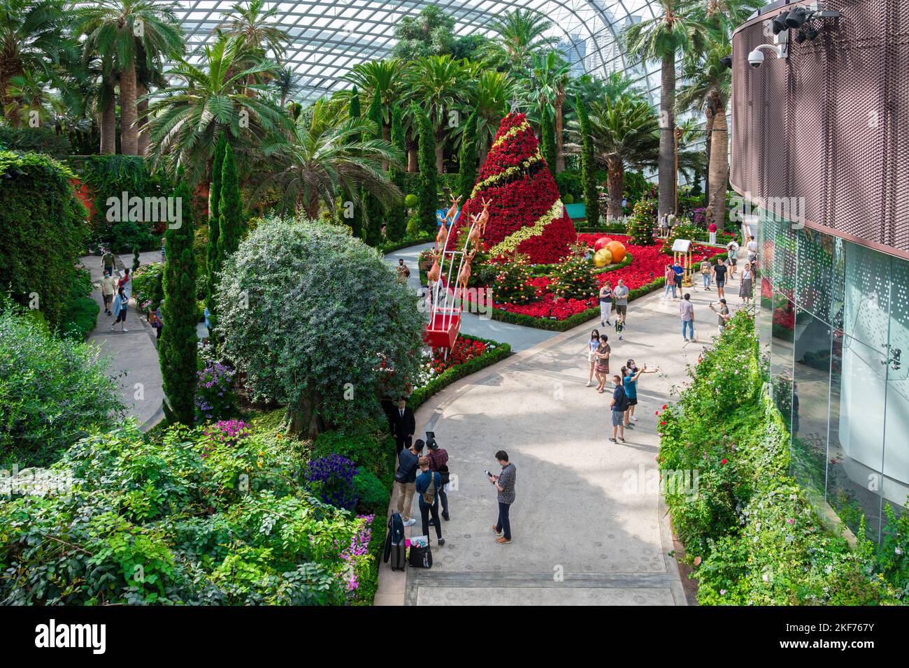 Night Safari Singapore is the world's first nocturnal zoo, houses over ...