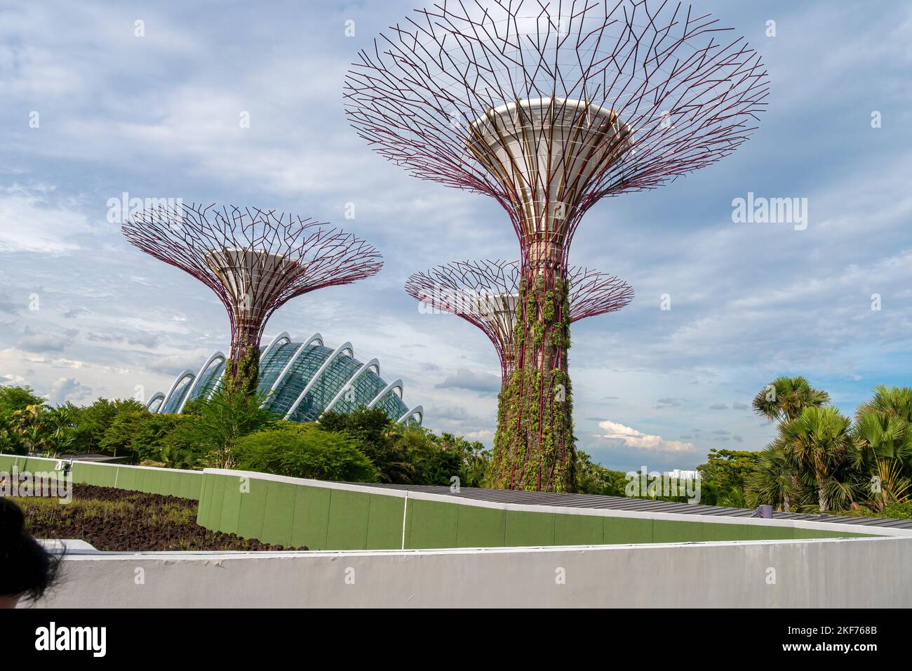 Super trees at Gardens by the Bay, Singapore. The tree-like structures ...