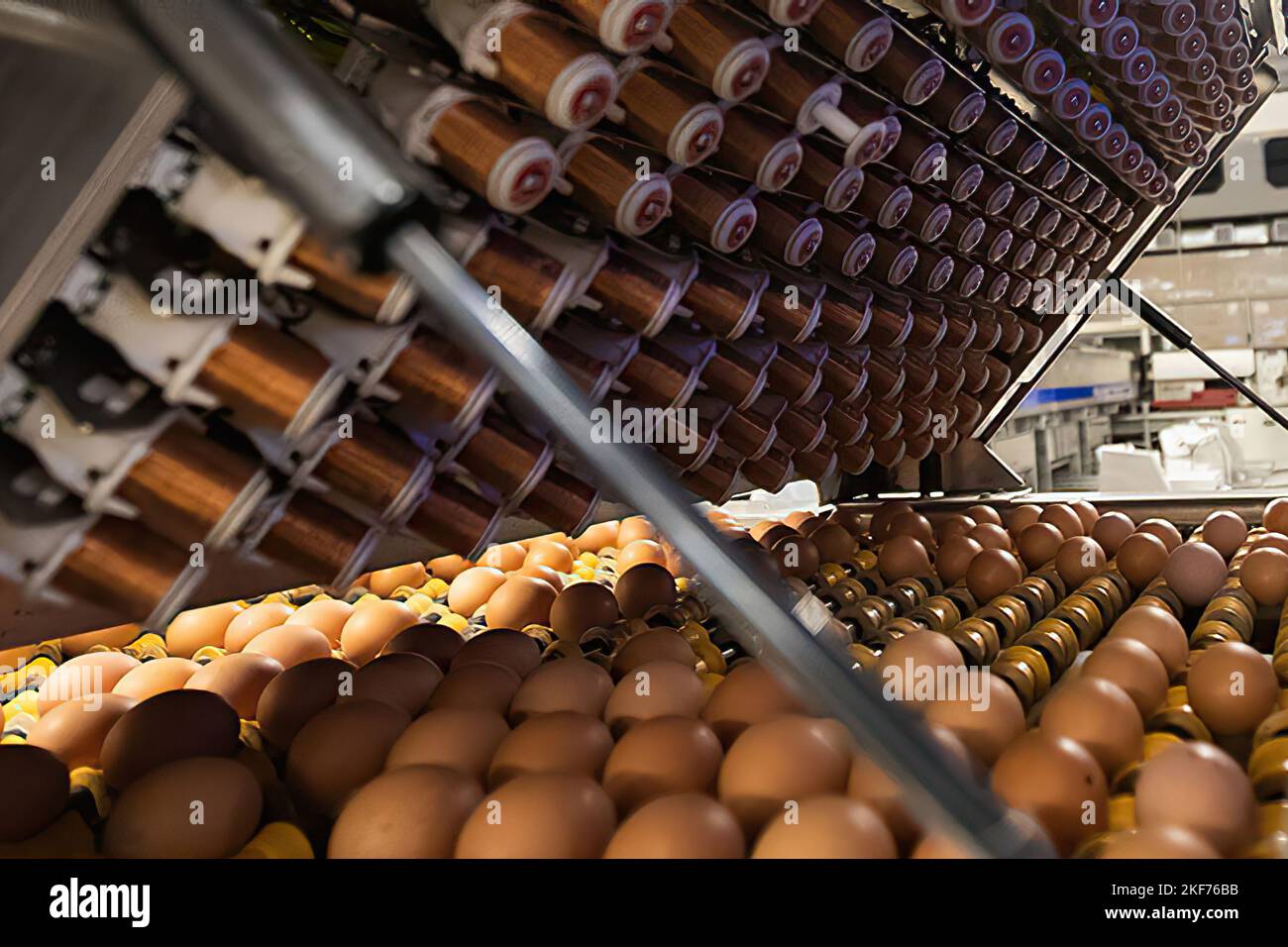 Hatching machine hi-res stock photography and images - Alamy
