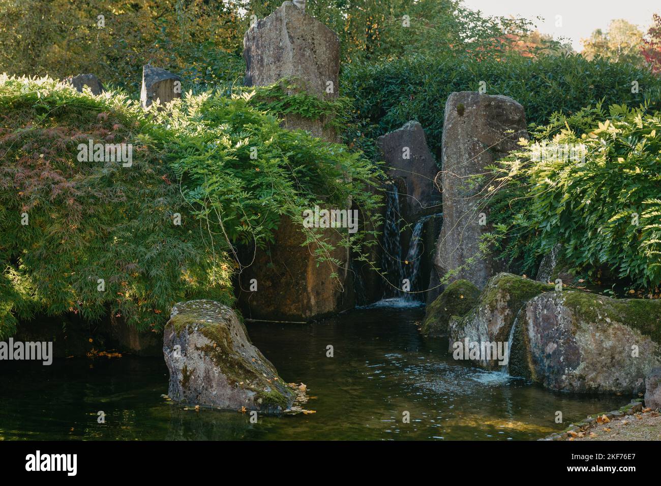 Beautiful Japanese Garden with waterfalls and trees at autumn seson. A ...