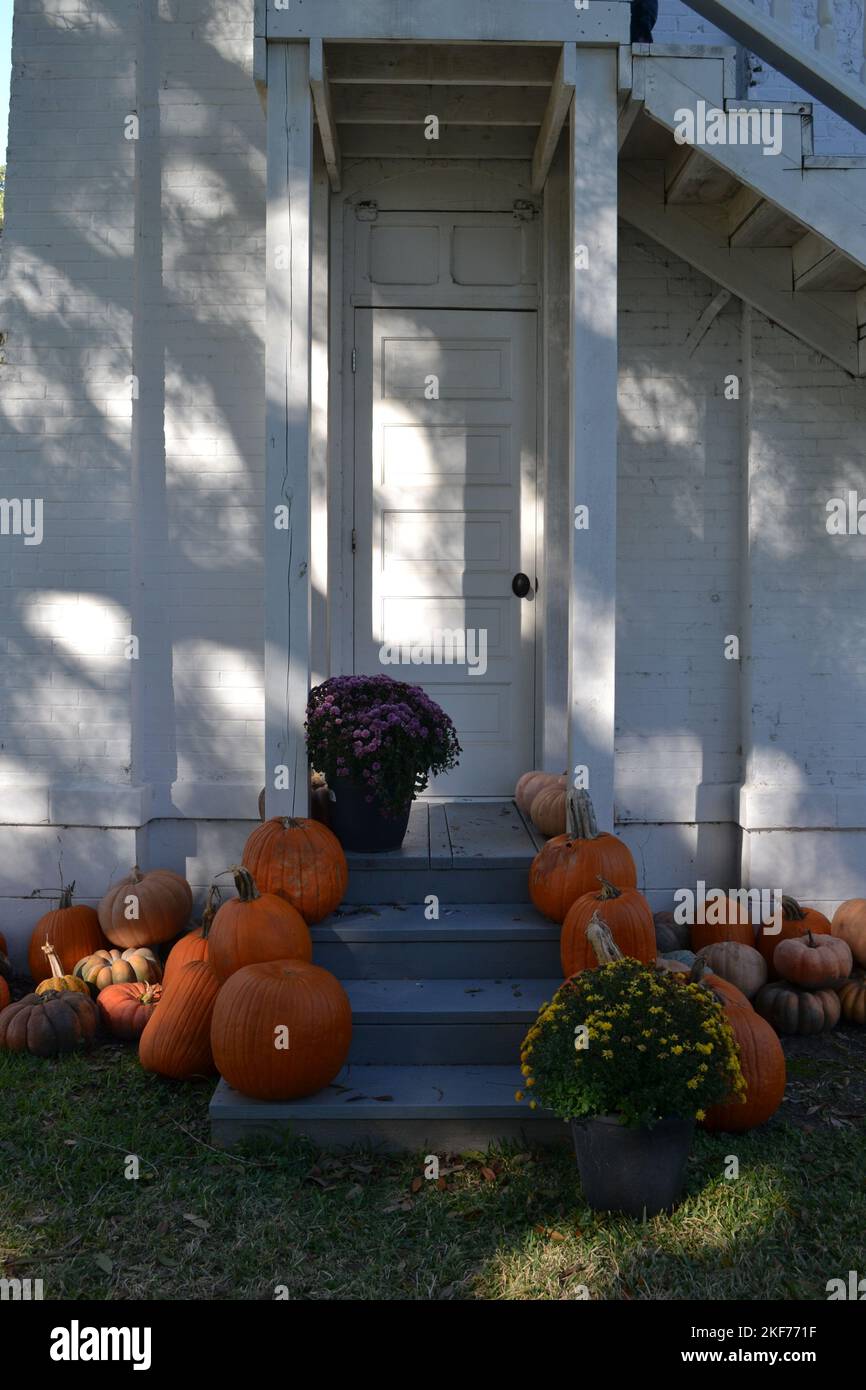 Lots of different pumpkins varieties for the Thanksgiving Stock Photo ...