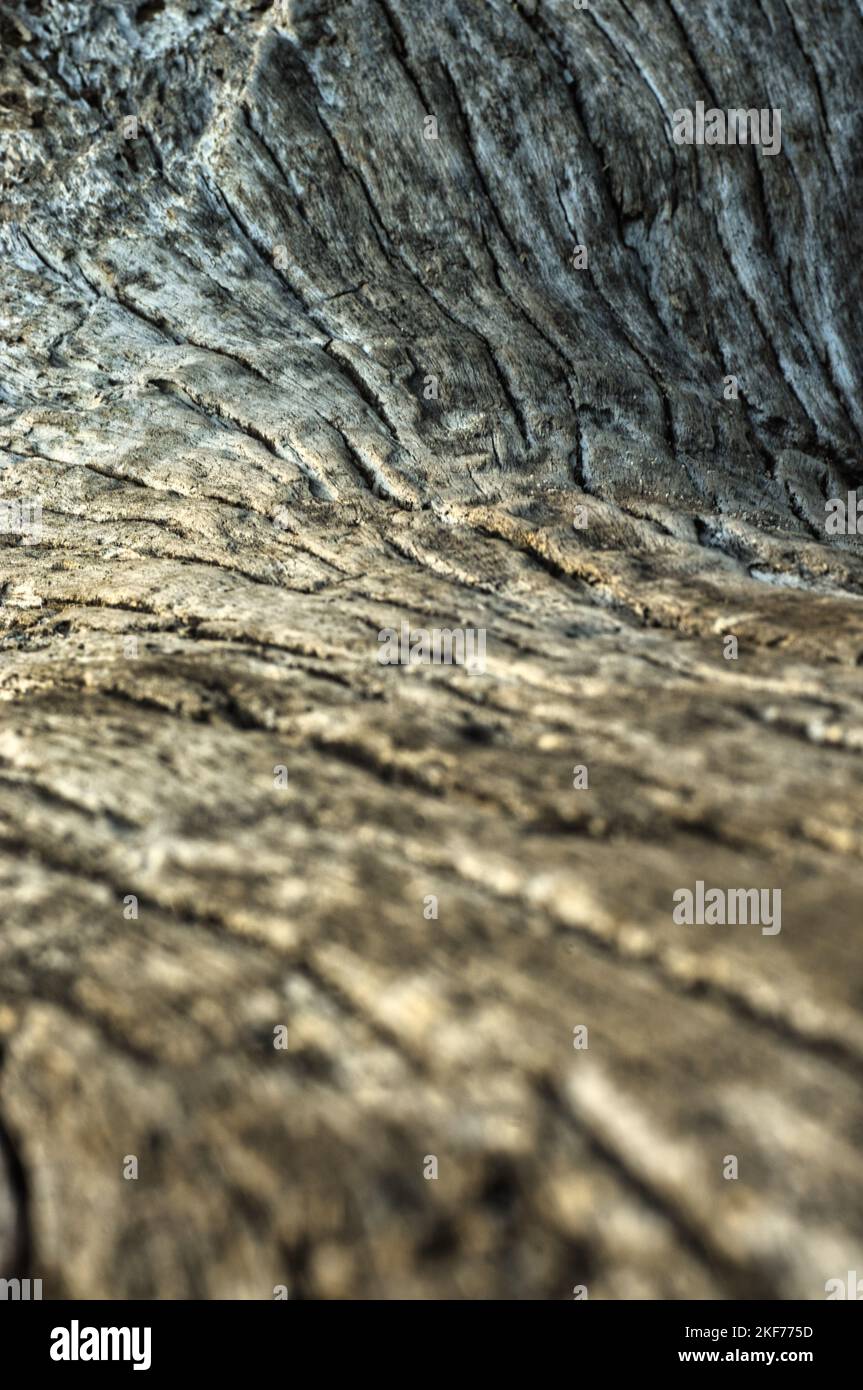 Beautiful wood texture showing a path of wood grooves Stock Photo - Alamy