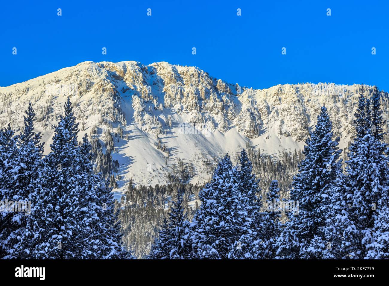 bridger mountains in winter near bozeman, montana Stock Photo - Alamy