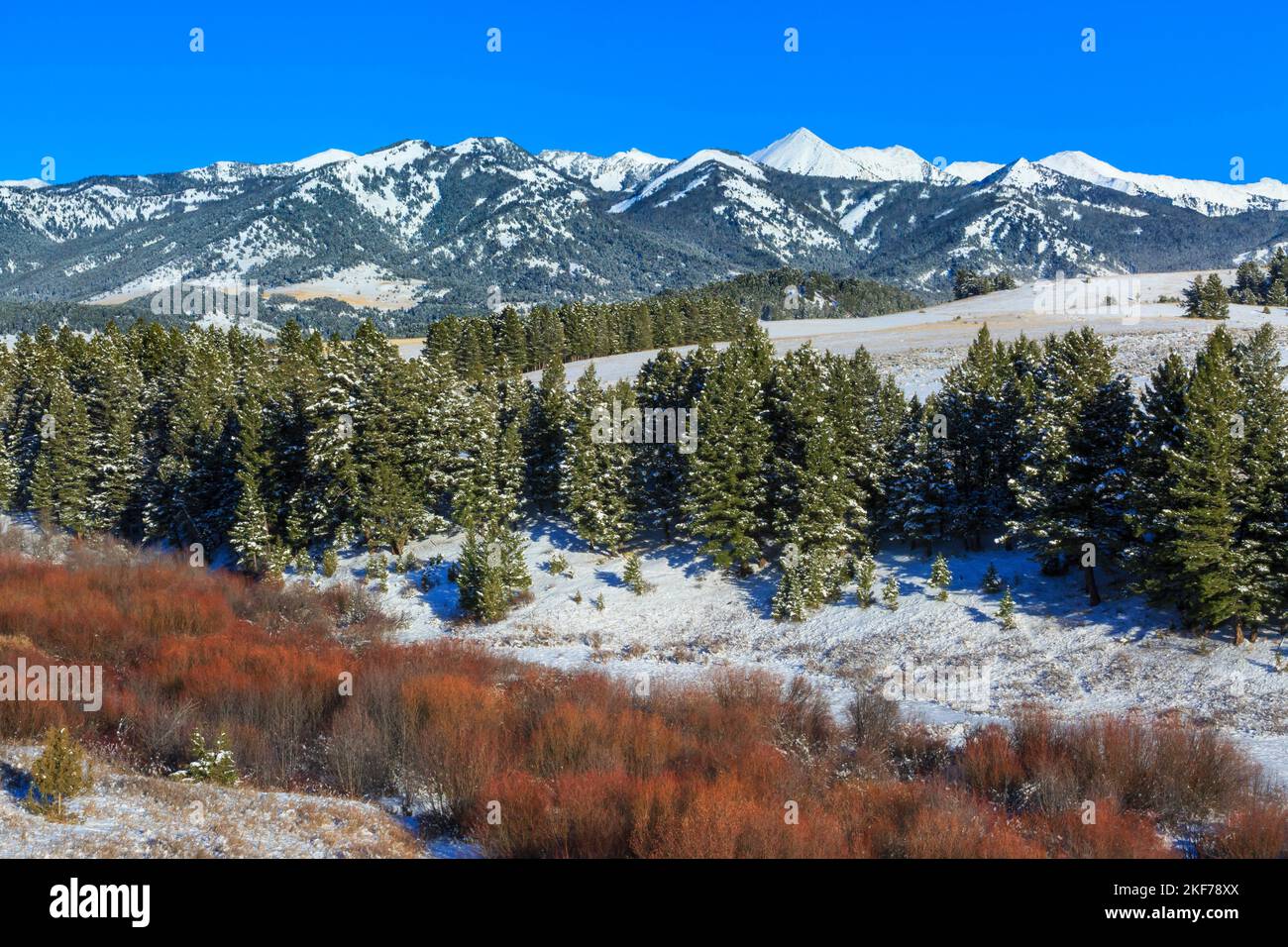 crazy mountains above daisy dean creek valley in winter near wilsall ...