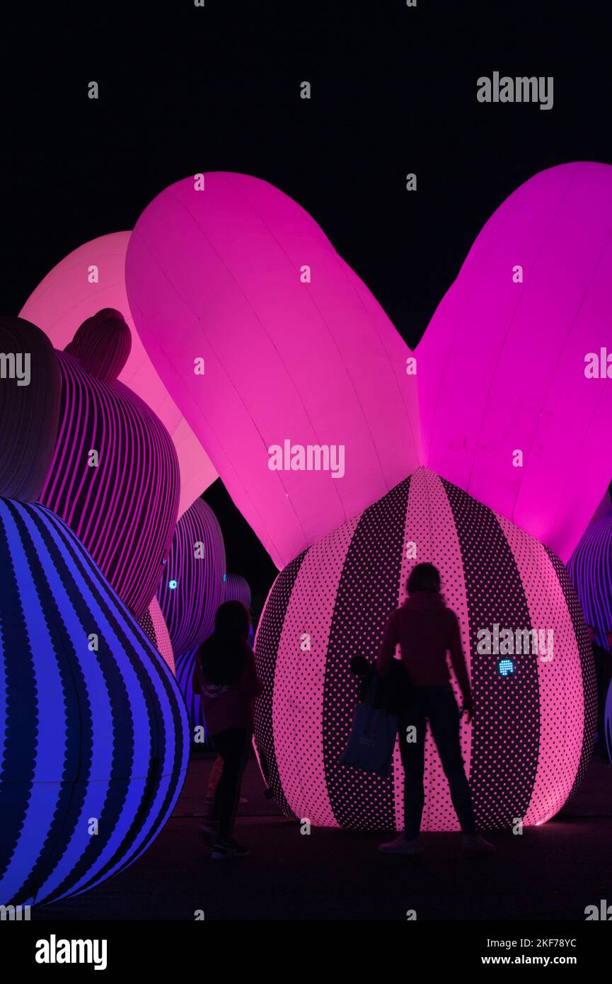 Interactive installation art hi-res stock photography and images - Alamy