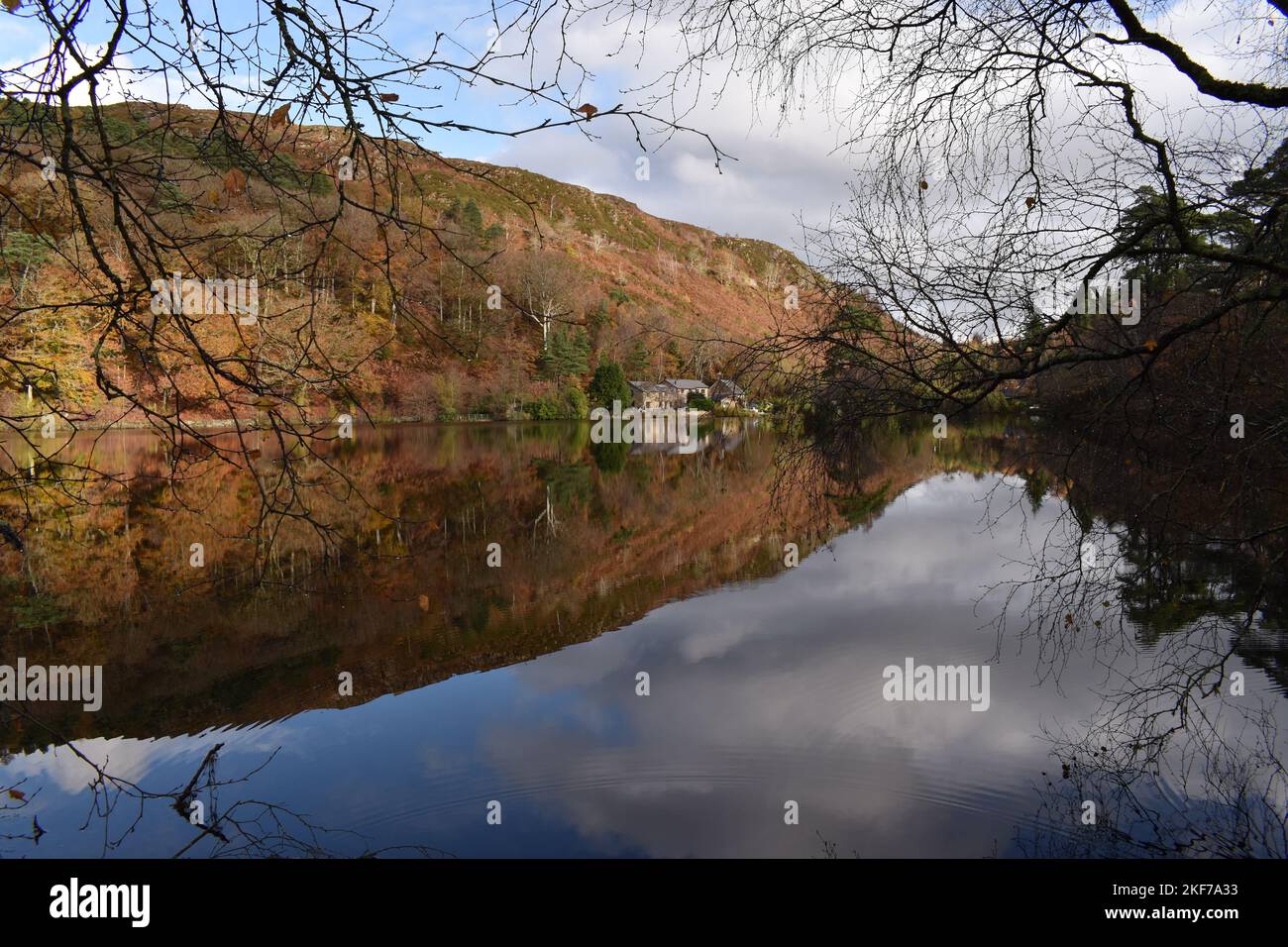 Snowdonia ancient woodland hi-res stock photography and images - Alamy