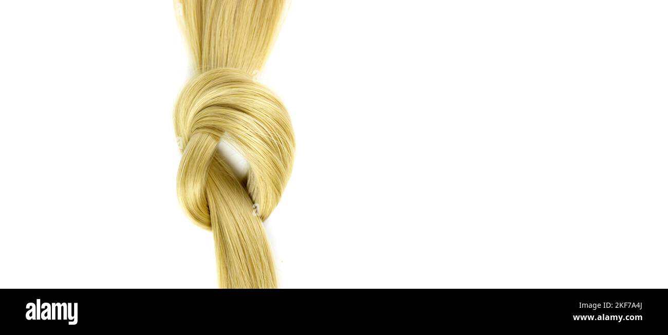 Strand of blond silky hair lock tied in knot on a white background ...