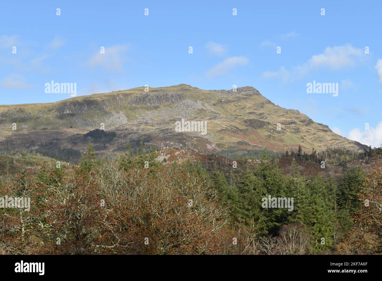Moelwyn Bach Viewed From Coed Hafod Y Llyn, Snowdonia National Park ...