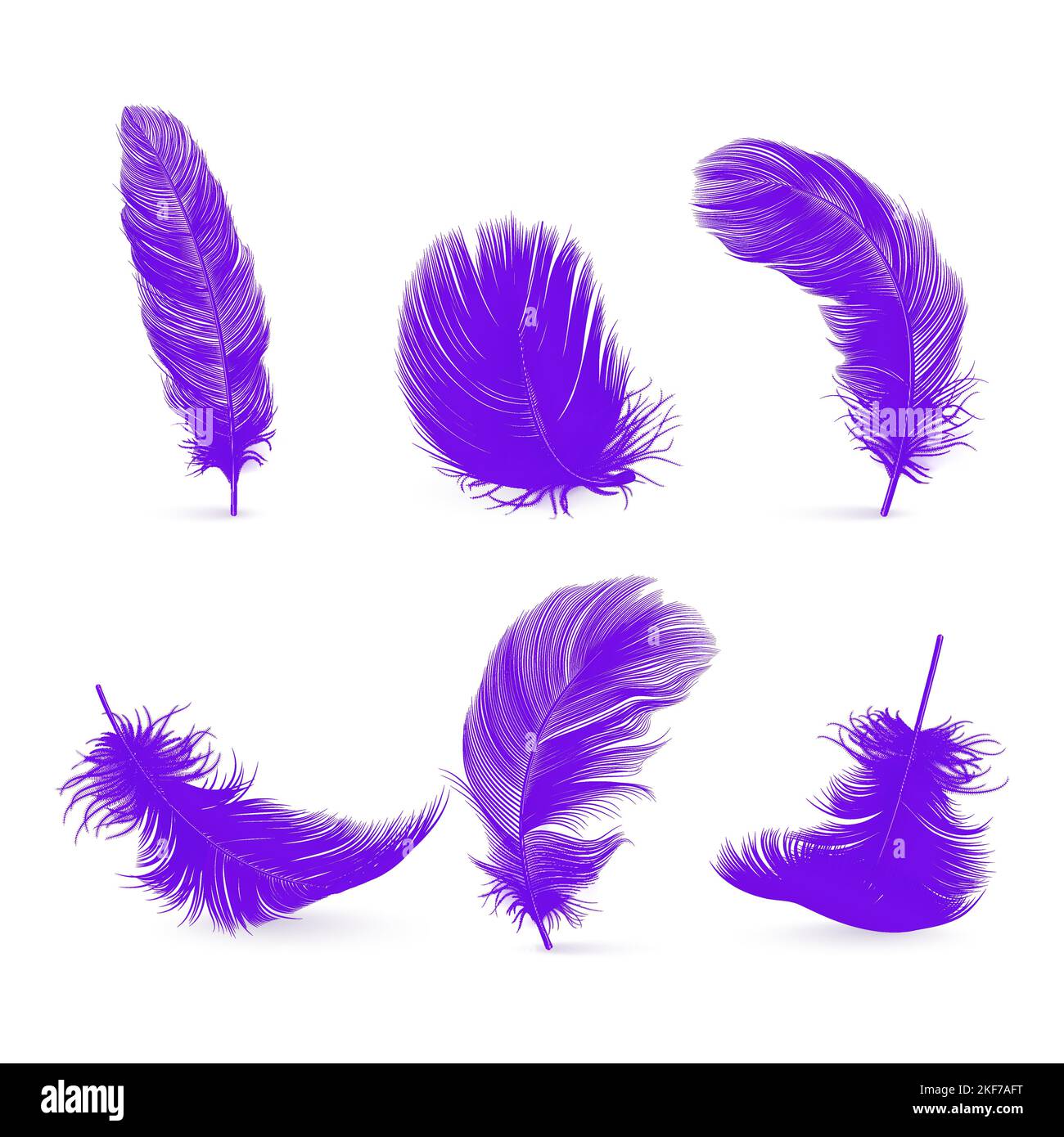 Vector 3d Realistic Purple Fluffy Feather Set Isolated on White ...