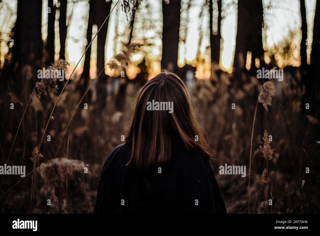 A young lady in a forest looking at trees at sunset Stock Photo - Alamy