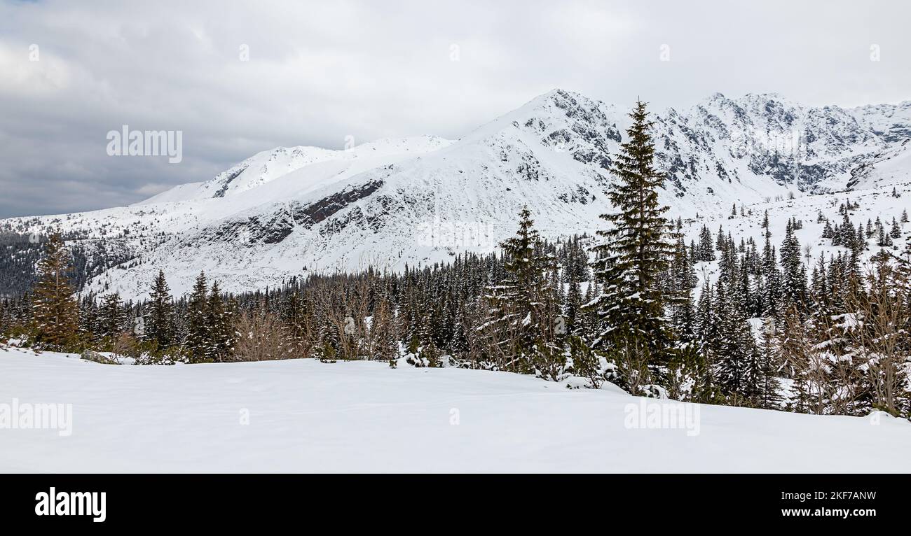 Winter landscape in the Tatra Mountains Stock Photo - Alamy