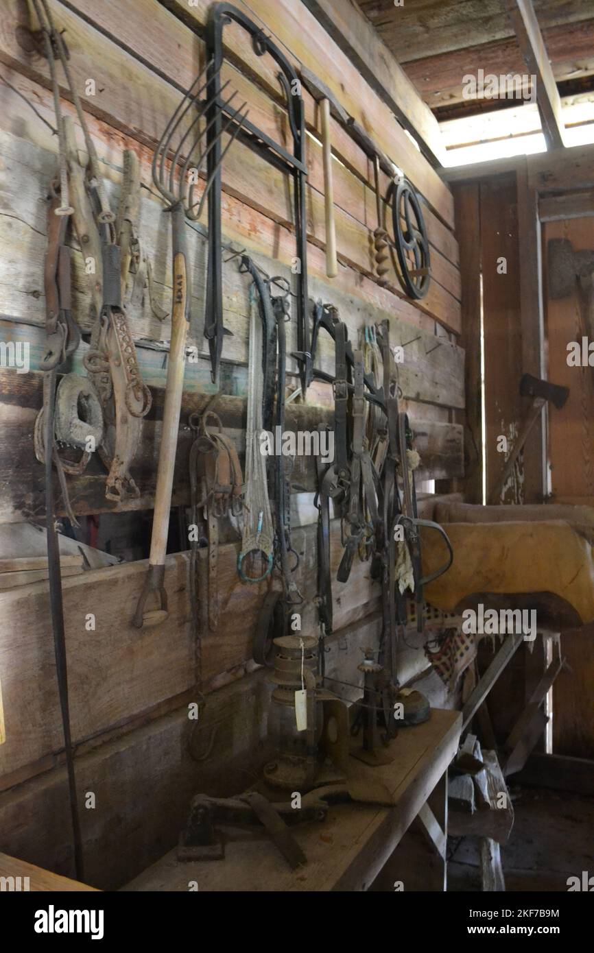 Tools in a shed Stock Photo - Alamy