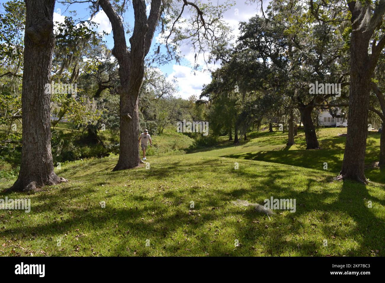 The monument garden with big trees Stock Photo - Alamy