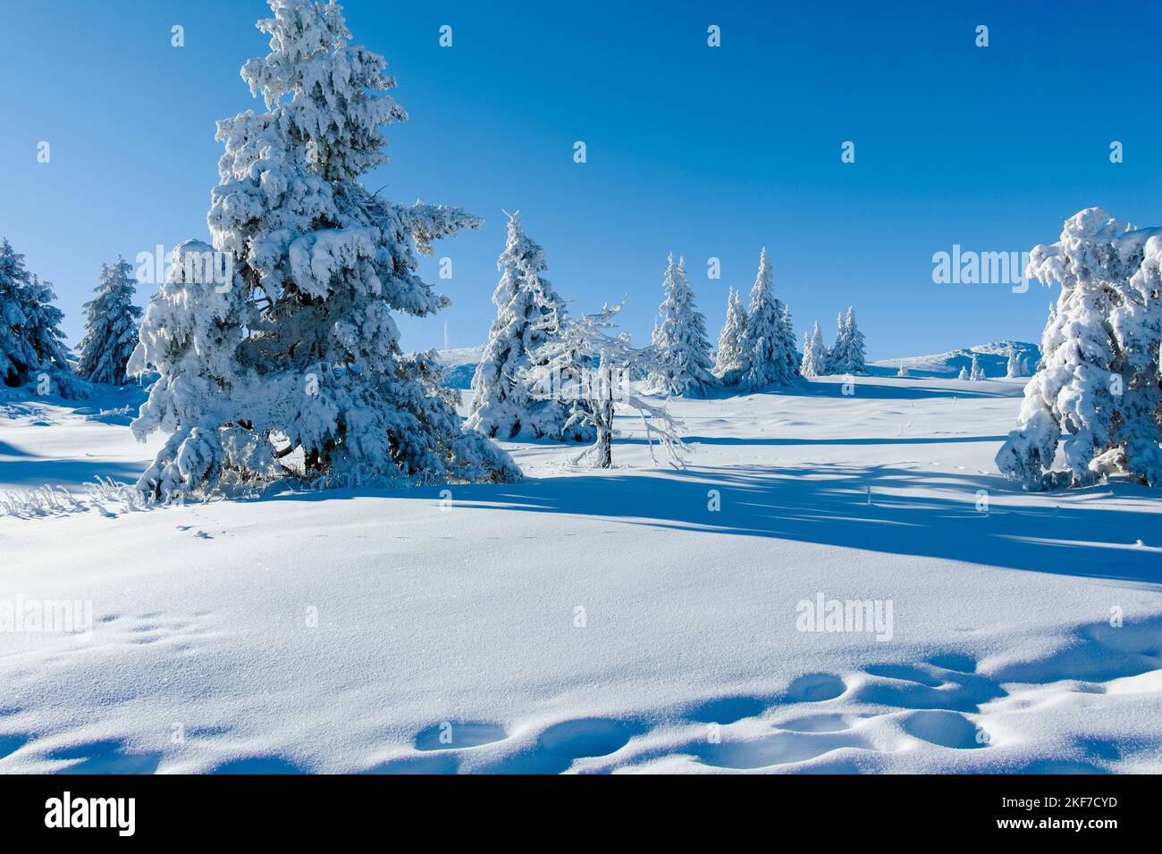 Amazing Winter landscape of Vitosha Mountain, Sofia City Region ...