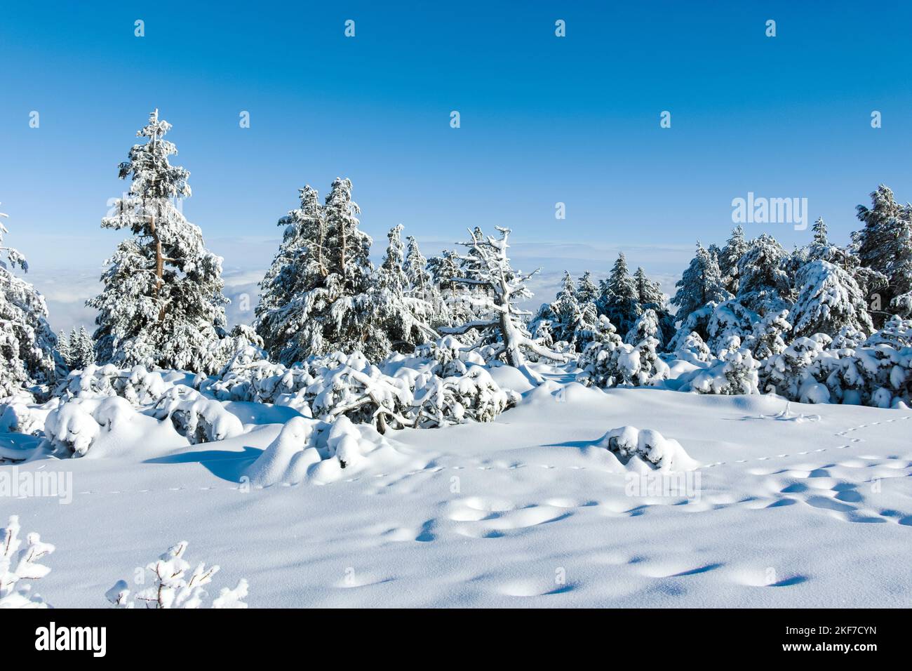 Amazing Winter landscape of Vitosha Mountain, Sofia City Region ...