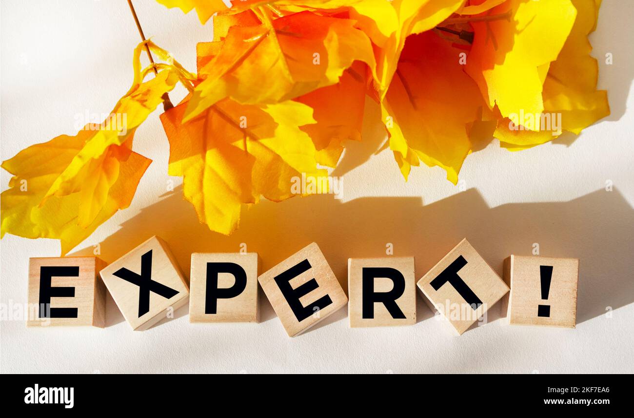 The word EXPERT. Wooden cubes with letters on a white background with ...