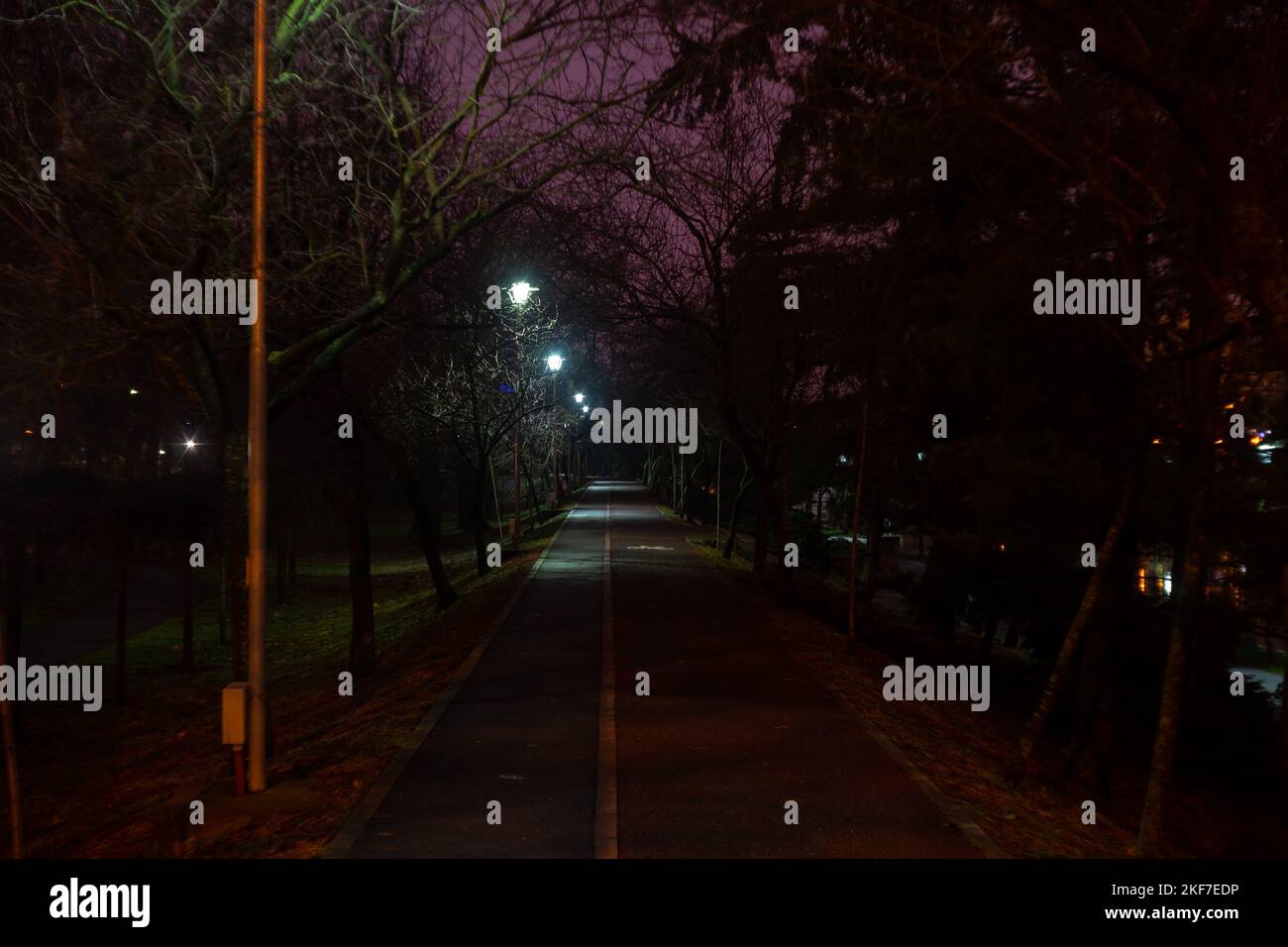 A view of an empty street from a park. Night scene Stock Photo - Alamy