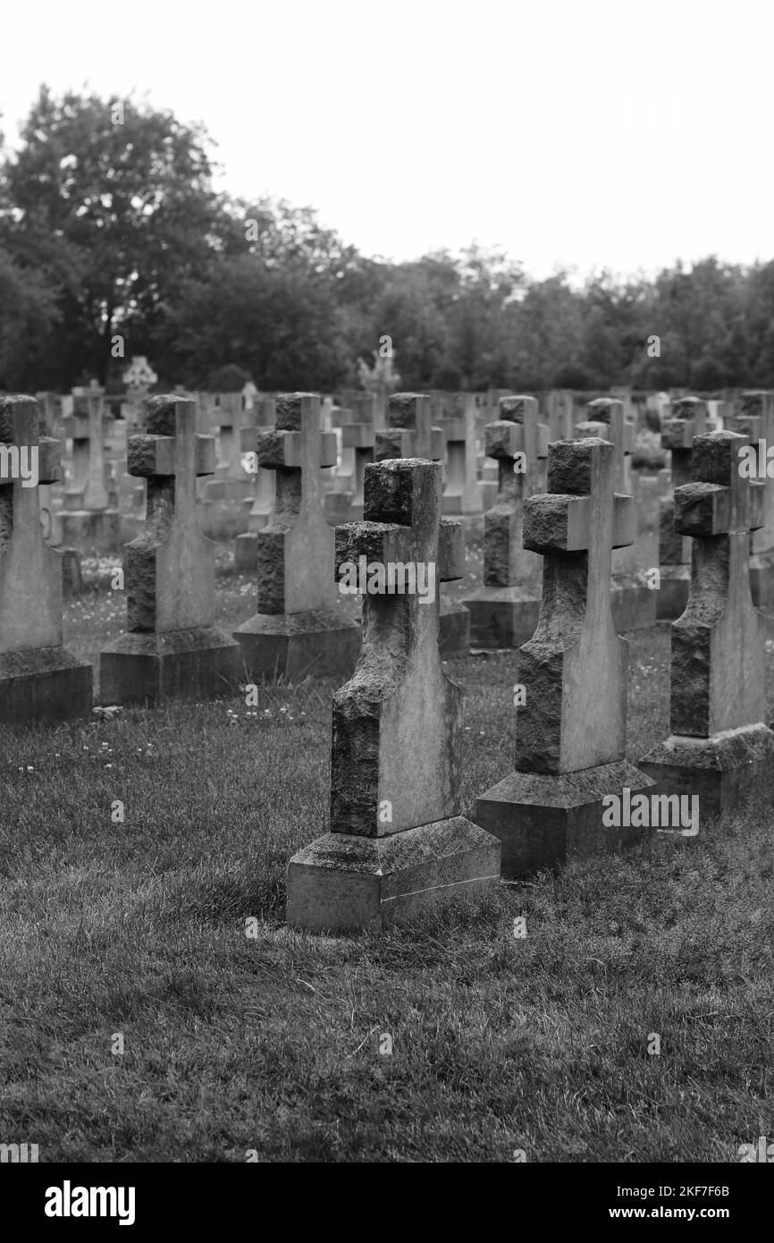 Rows of tombstones standing in the cemetery in a black and white ...