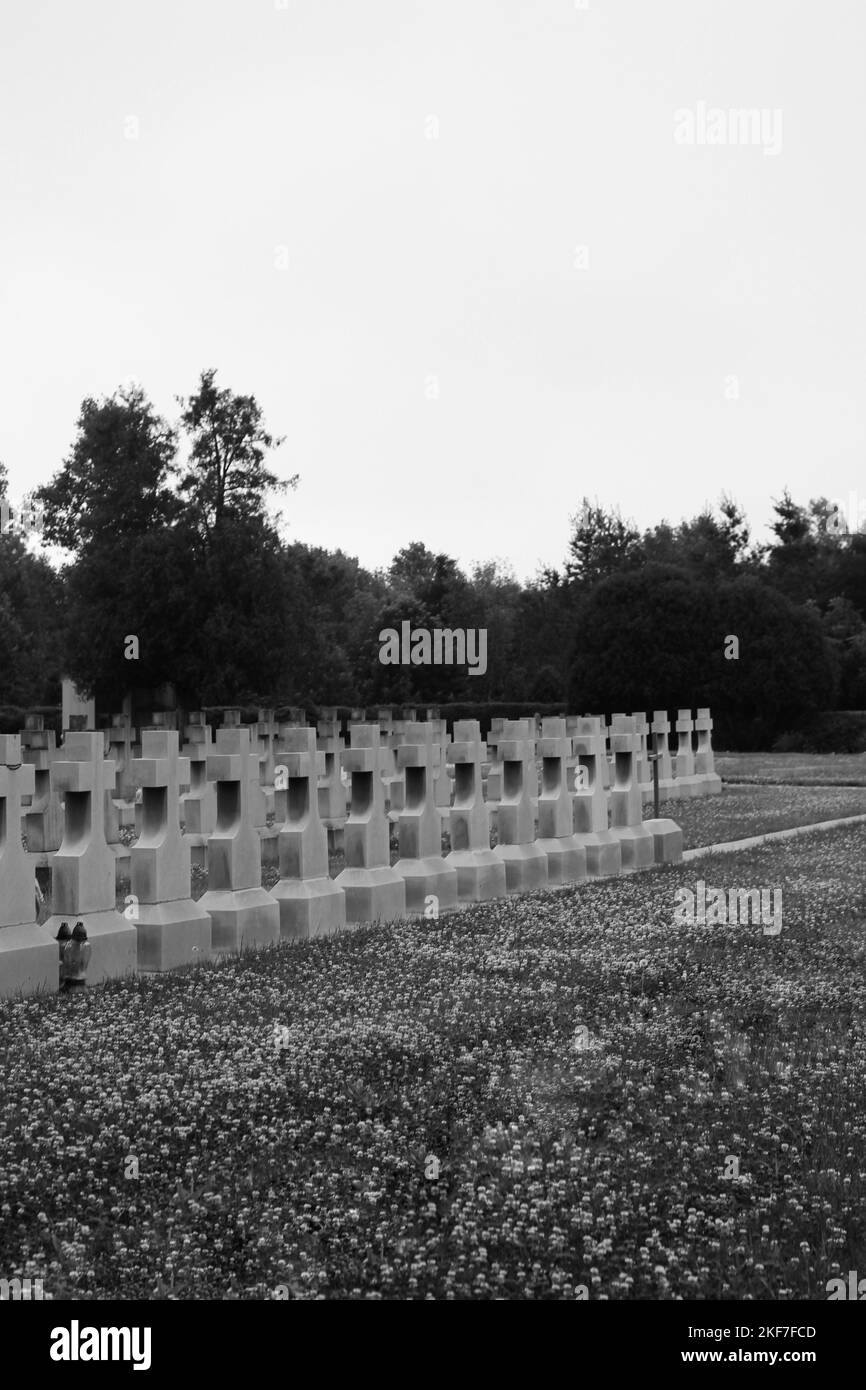 Rows of tombstones standing in the cemetery in a black and white ...