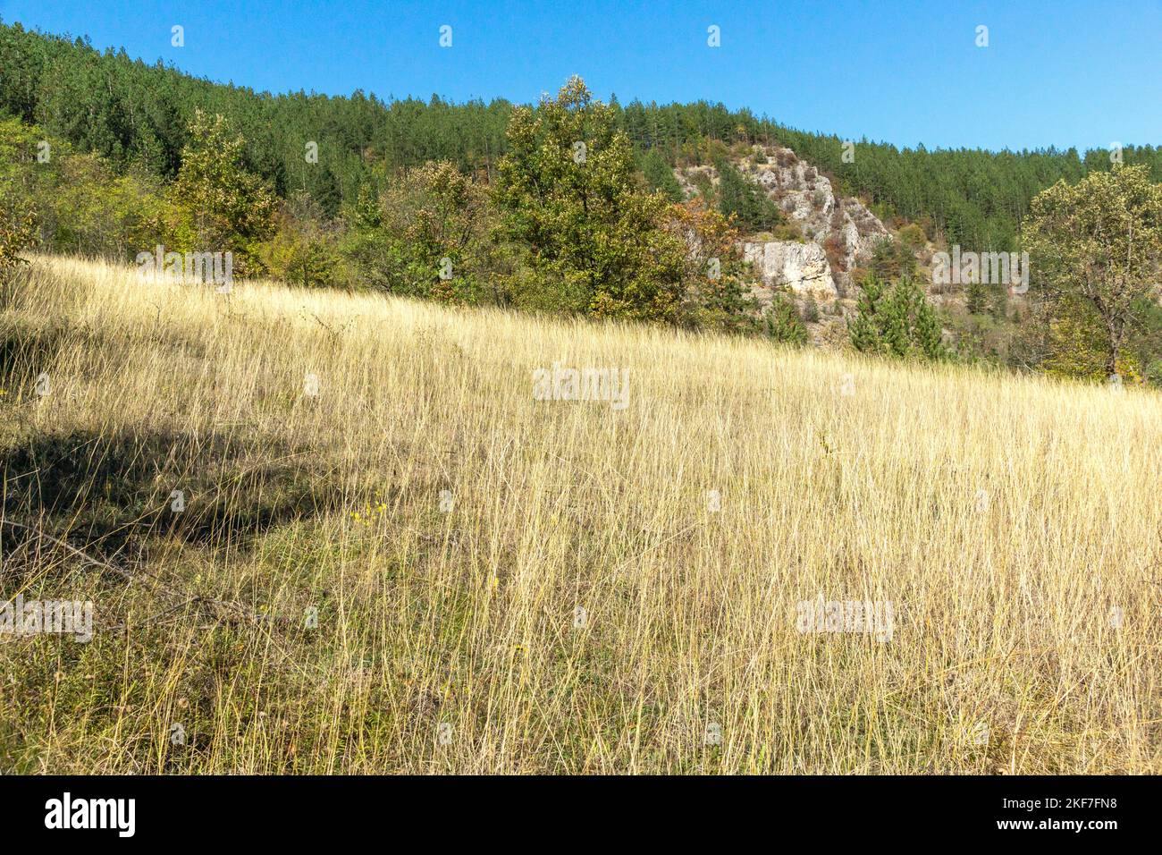 Autumn view of Nishava river gorge, Balkan Mountains, Bulgaria Stock ...