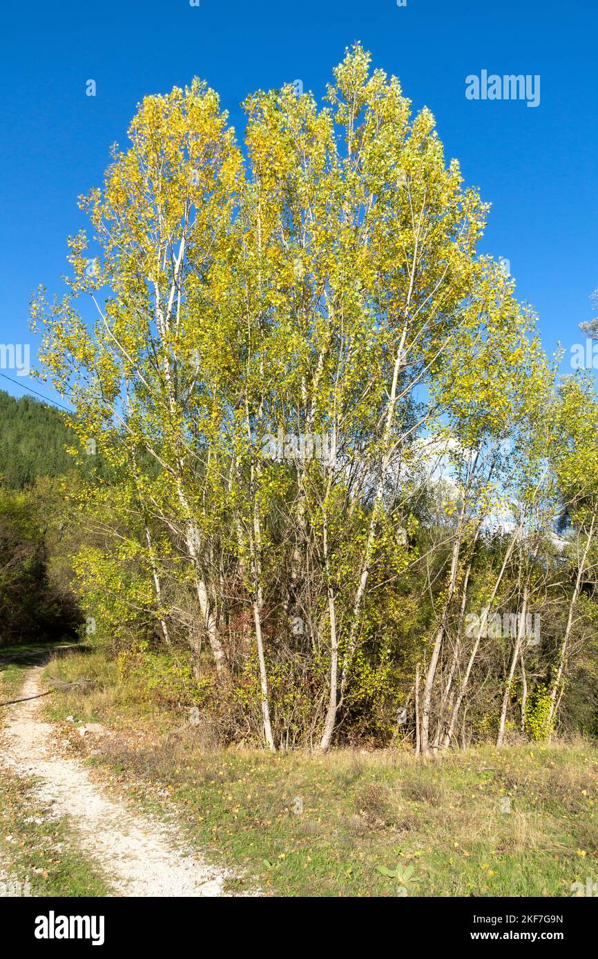 Autumn view of Nishava river gorge, Balkan Mountains, Bulgaria Stock ...