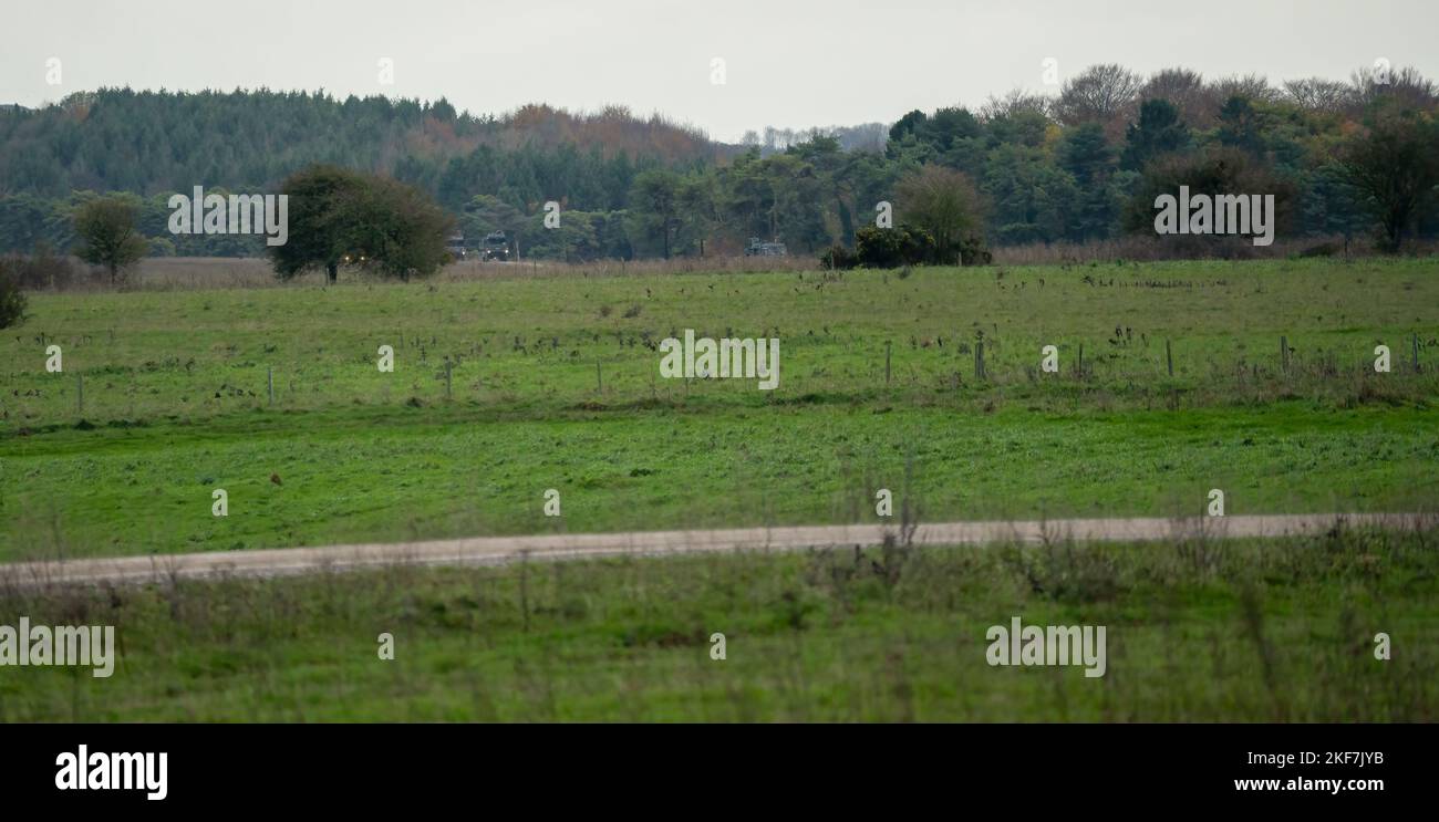 convoy of British army MAN HX60 4x4 and HX58 Heavy Utility Trucks in ...