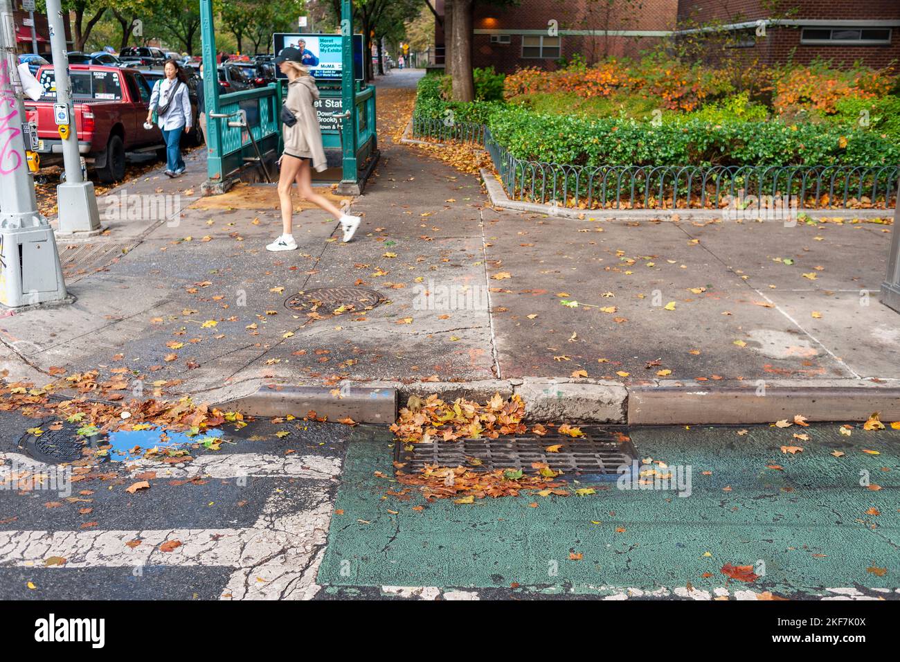 Autumn leaves litter the streets after the remains of Hurricane Nicole ...