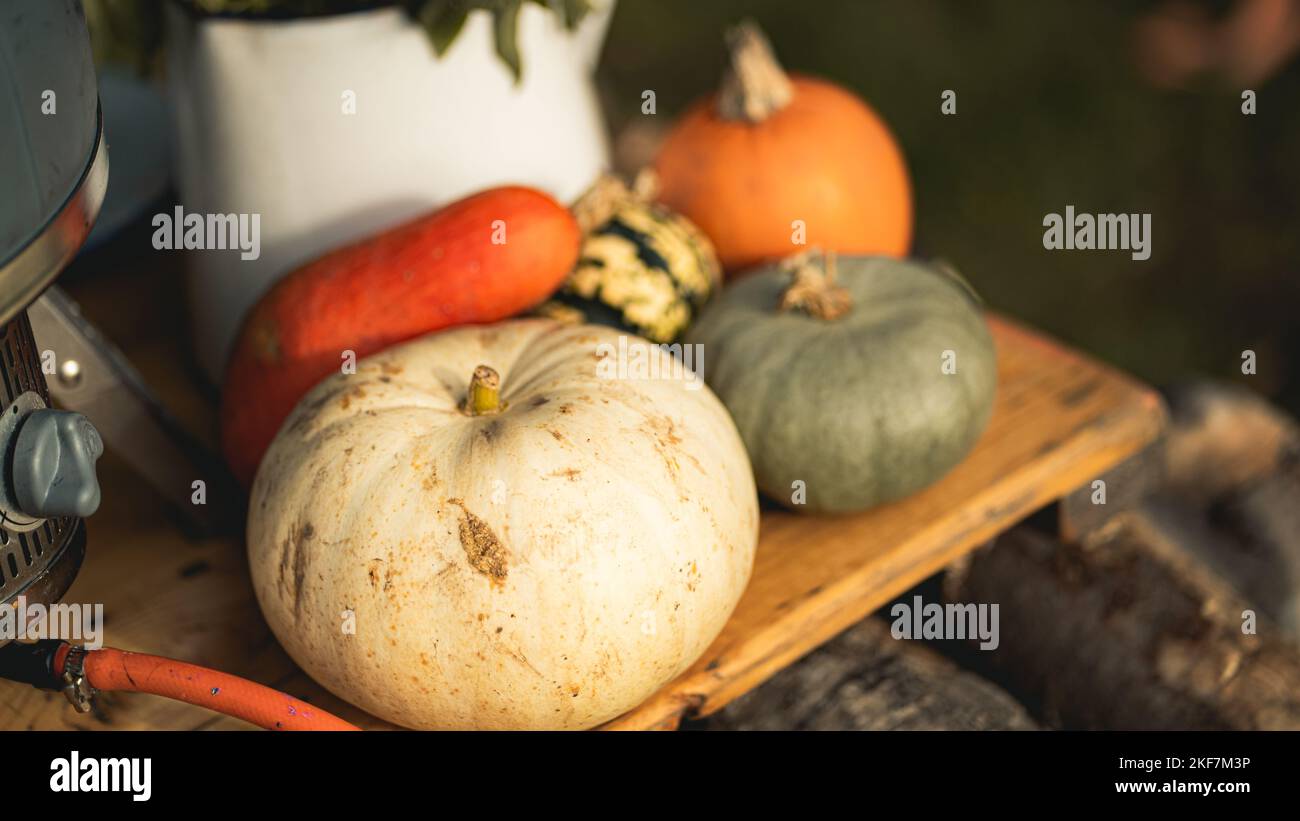 A variety of pumpkins on a wooden table Stock Photo - Alamy